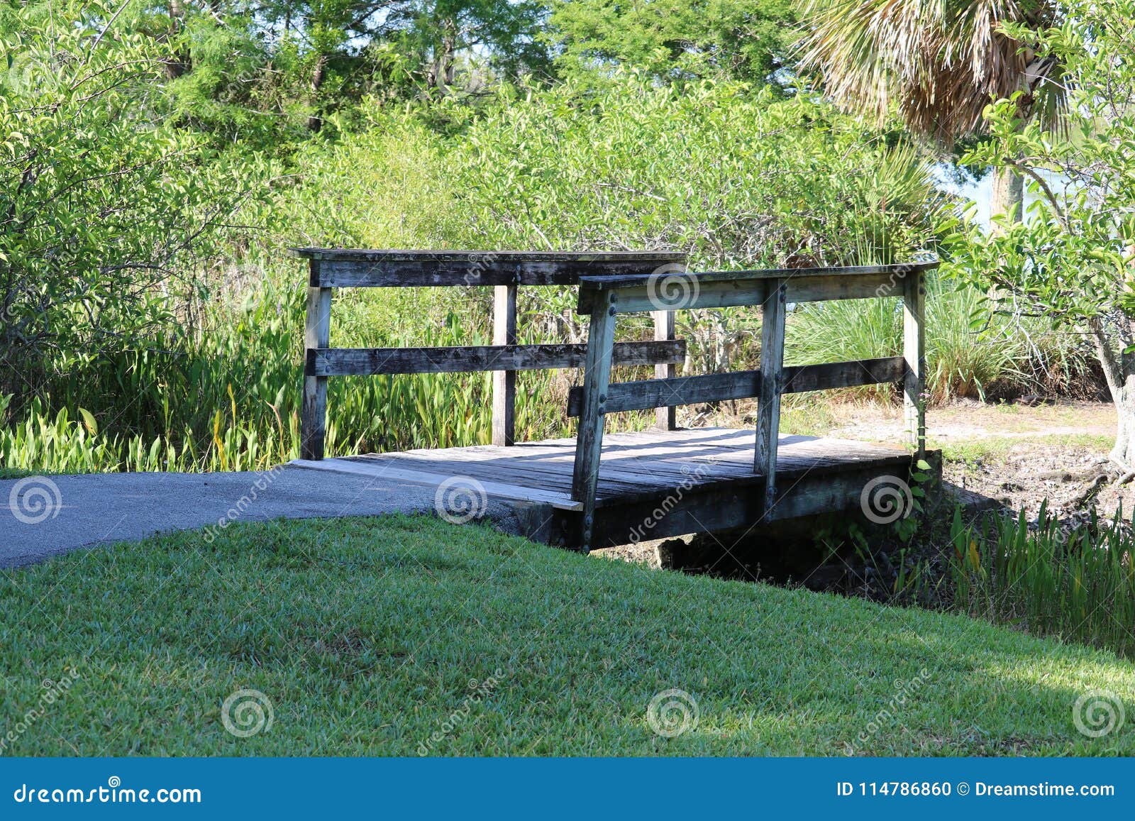 Small walking bridge stock photo. Image of small, soon - 114786860