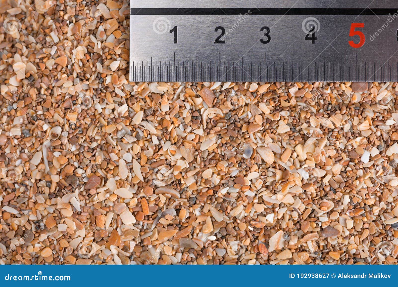 Small, Washed Feed Seashell with Measuring Ruler, Feed Additive for ...