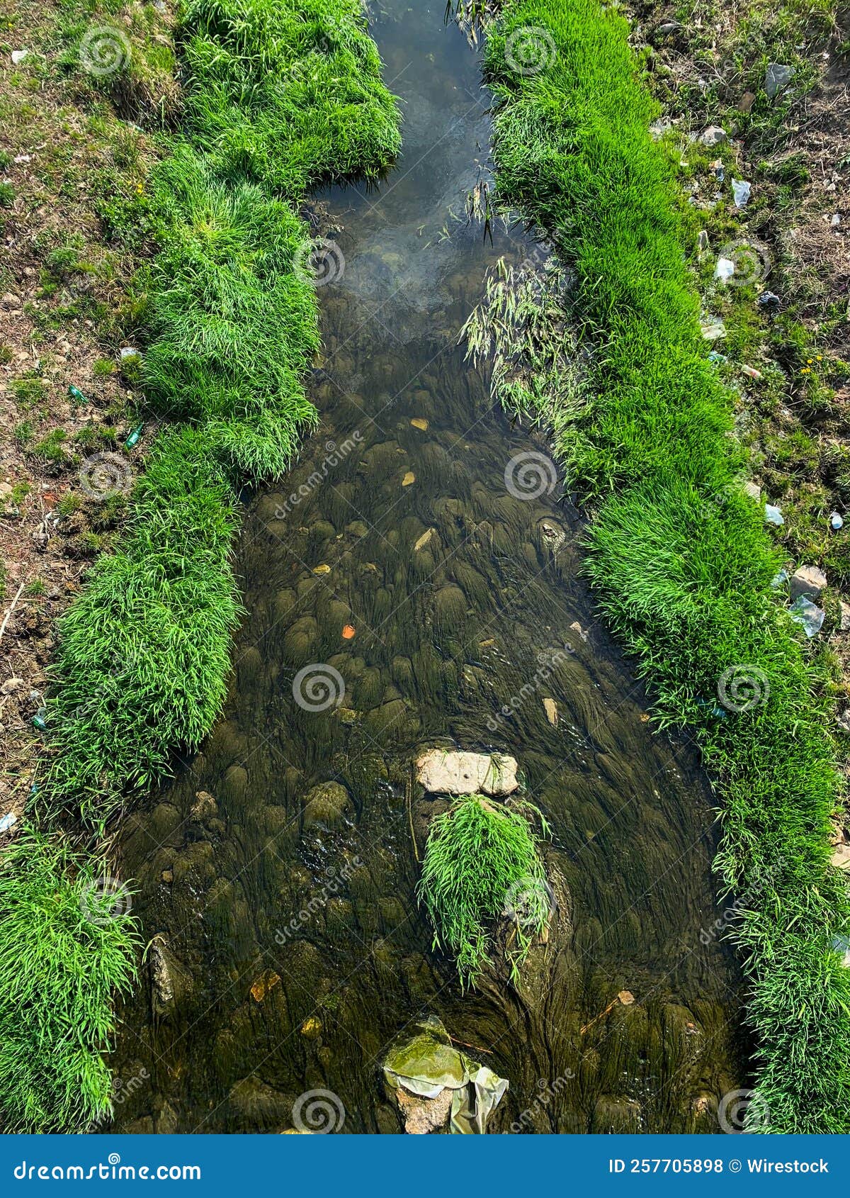Small Water Canal between Parallel Grass Lines Stock Photo - Image of ...