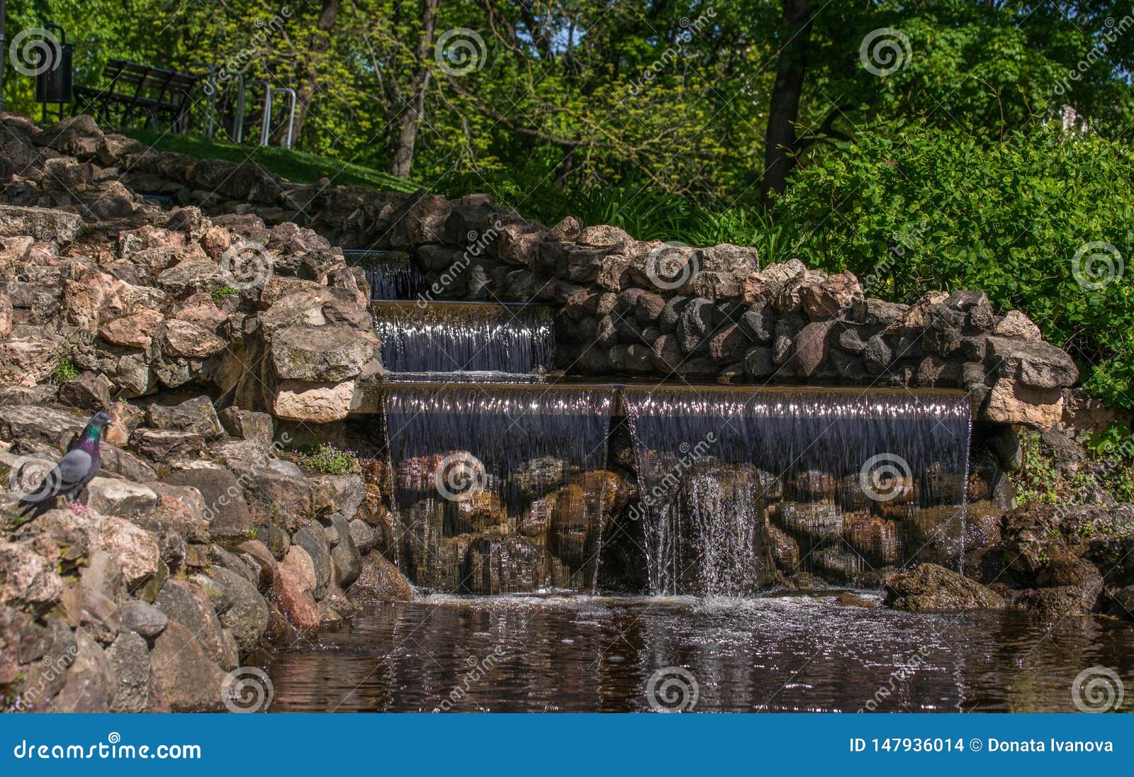 Small Water Cascade in the City Park. Stock Photo - Image of birds ...