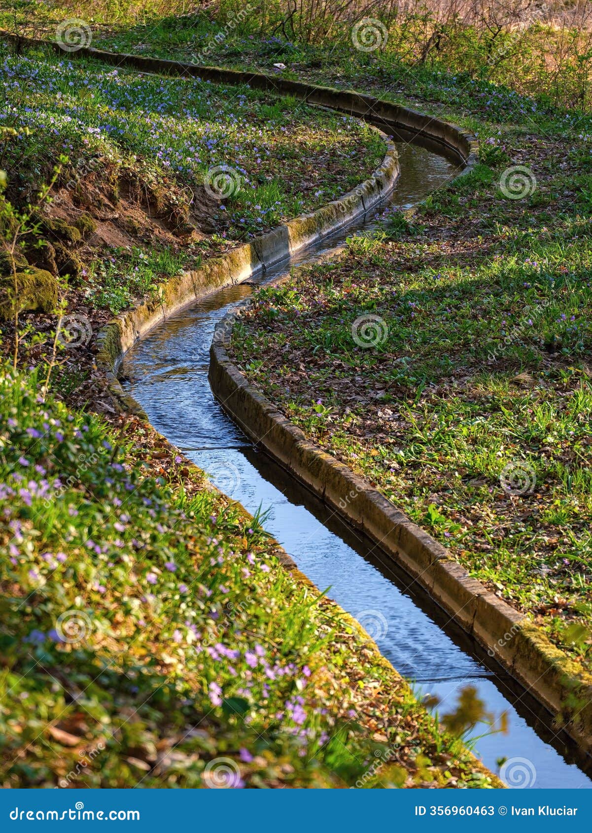 Small Water Channel in Nature. Small Meander of a Stream Stock Image ...