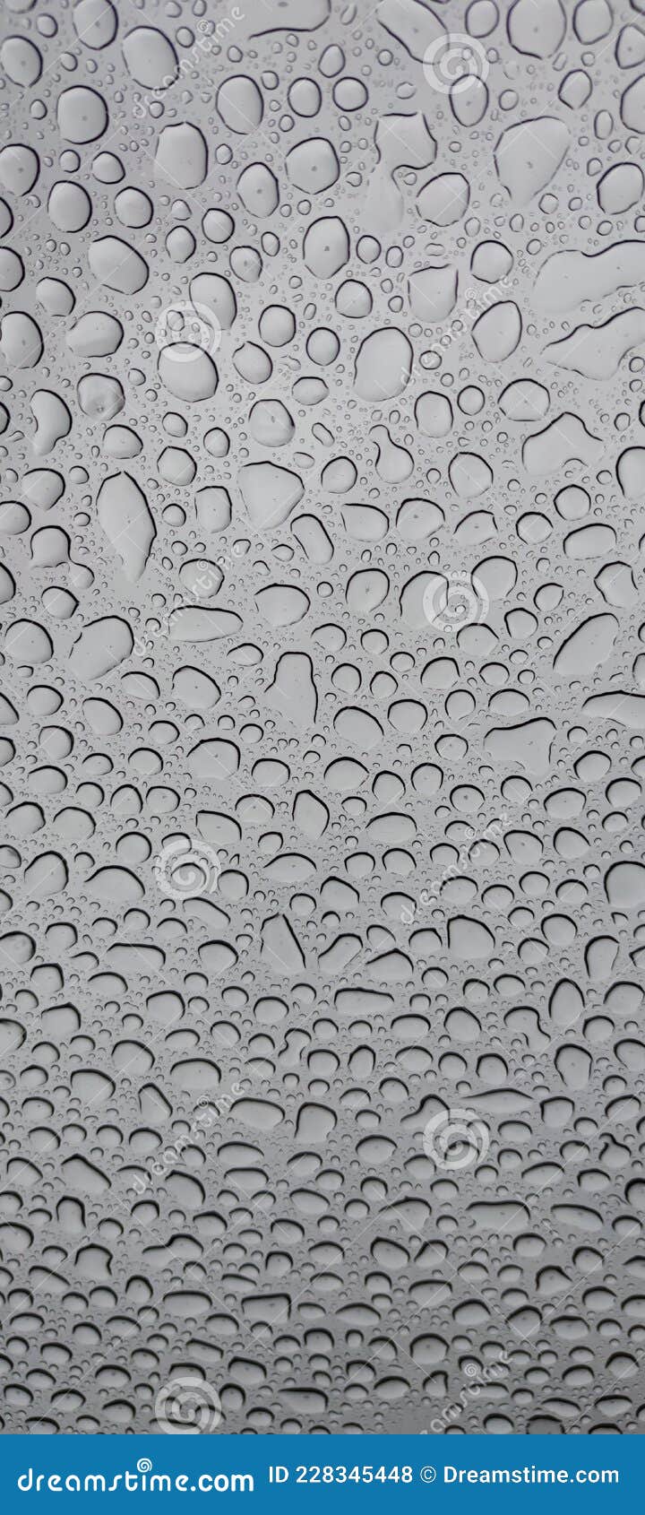 Small Water Droplets on Glass Stock Photo - Image of monochrome, small ...