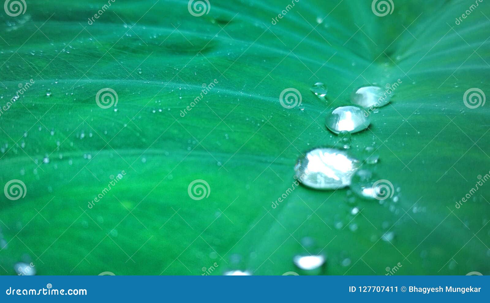 Small water drops stock image. Image of drops, small - 127707411