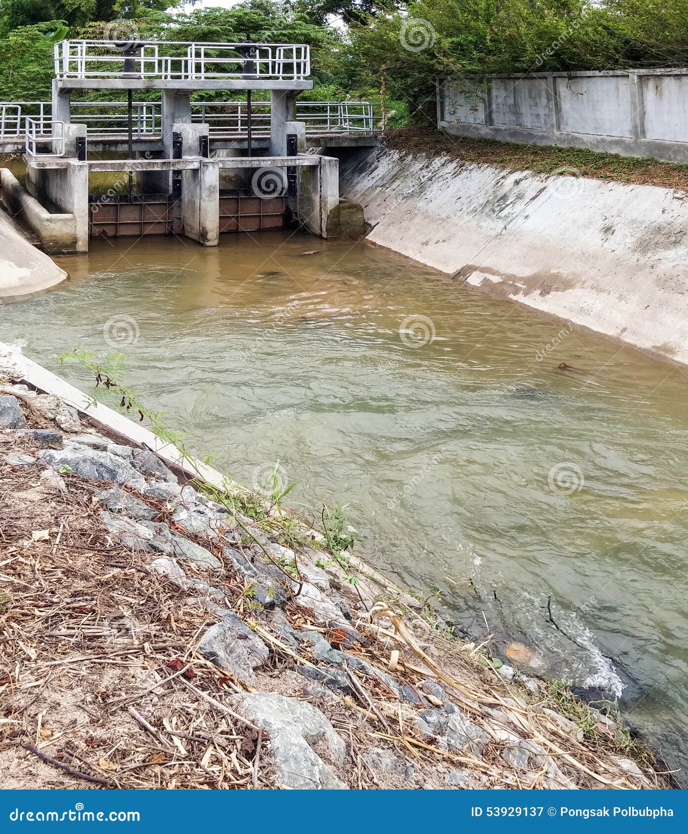 Small water gate stock image. Image of farming, movement - 53929137