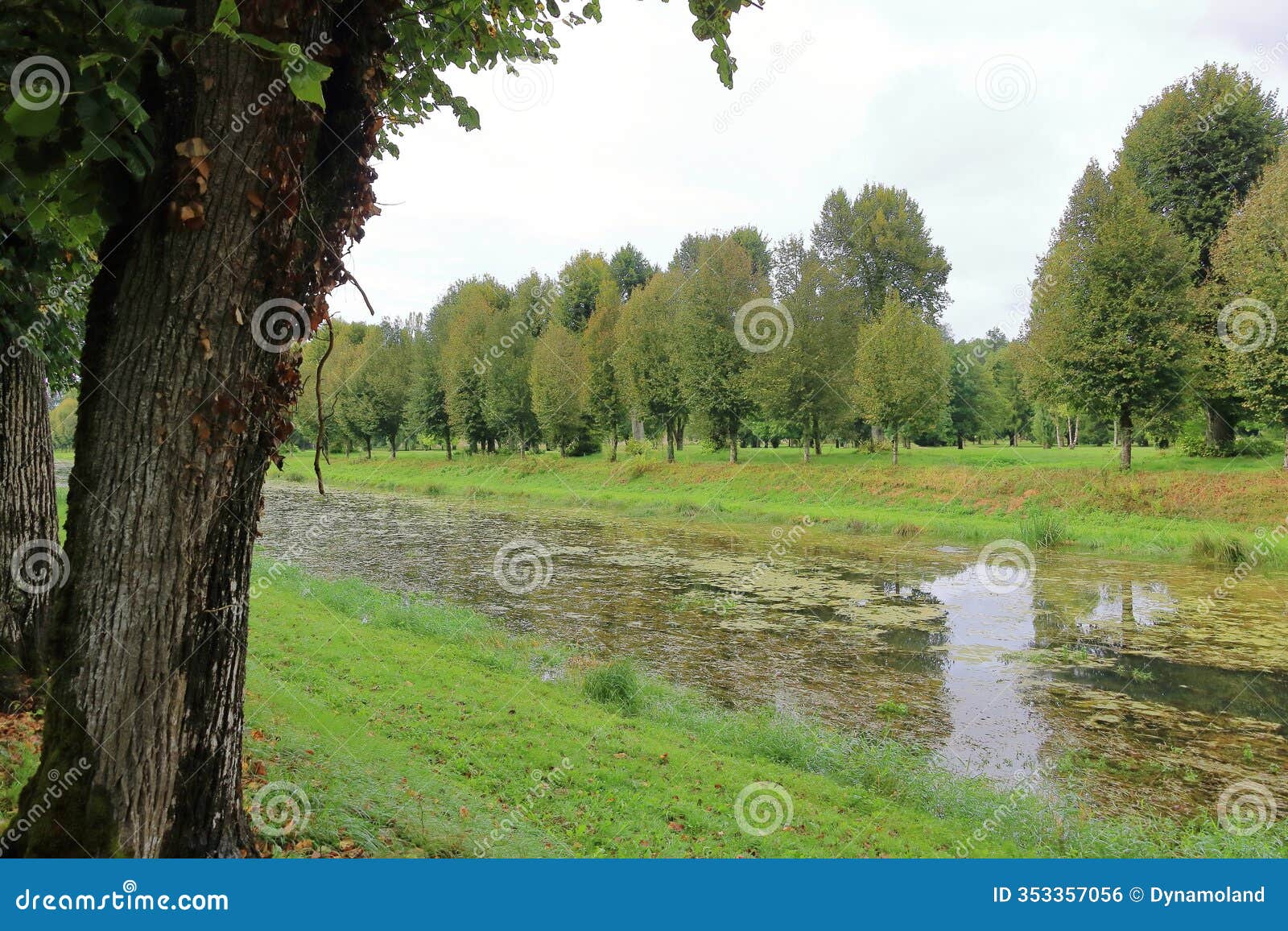 A Small Water Moat in France Stock Photo - Image of water, nature ...