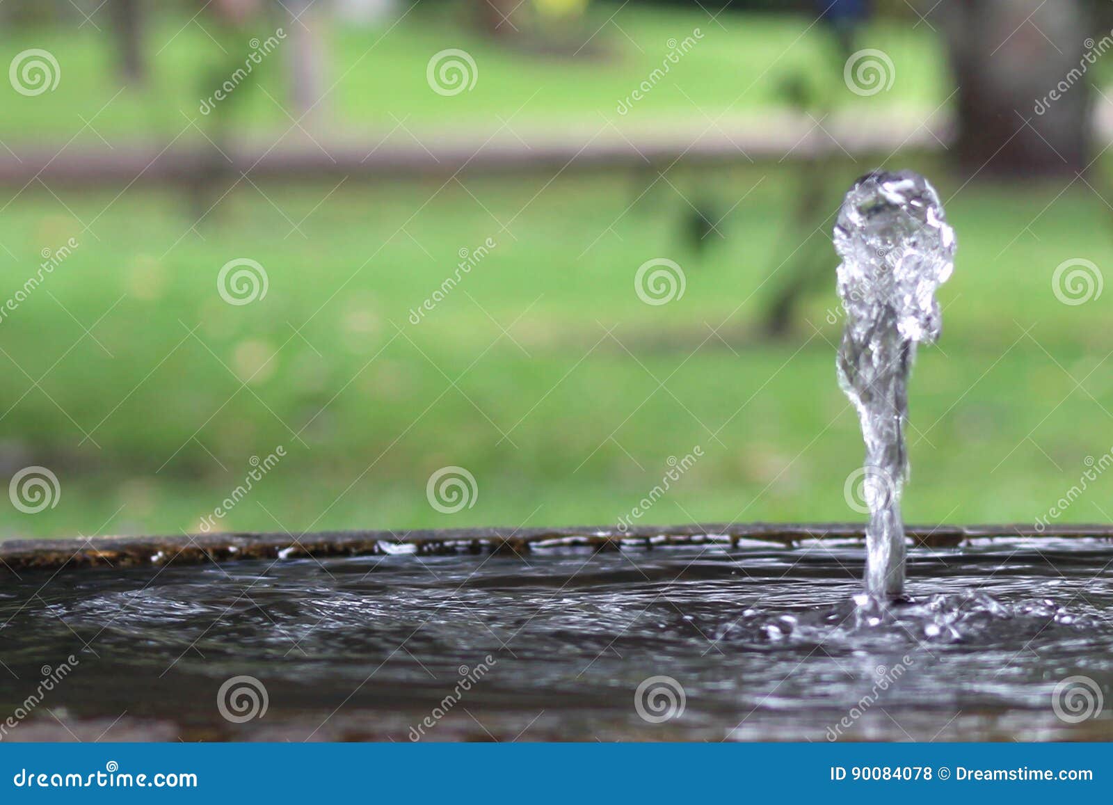Small water source stock photo. Image of serenity, beauty - 90084078