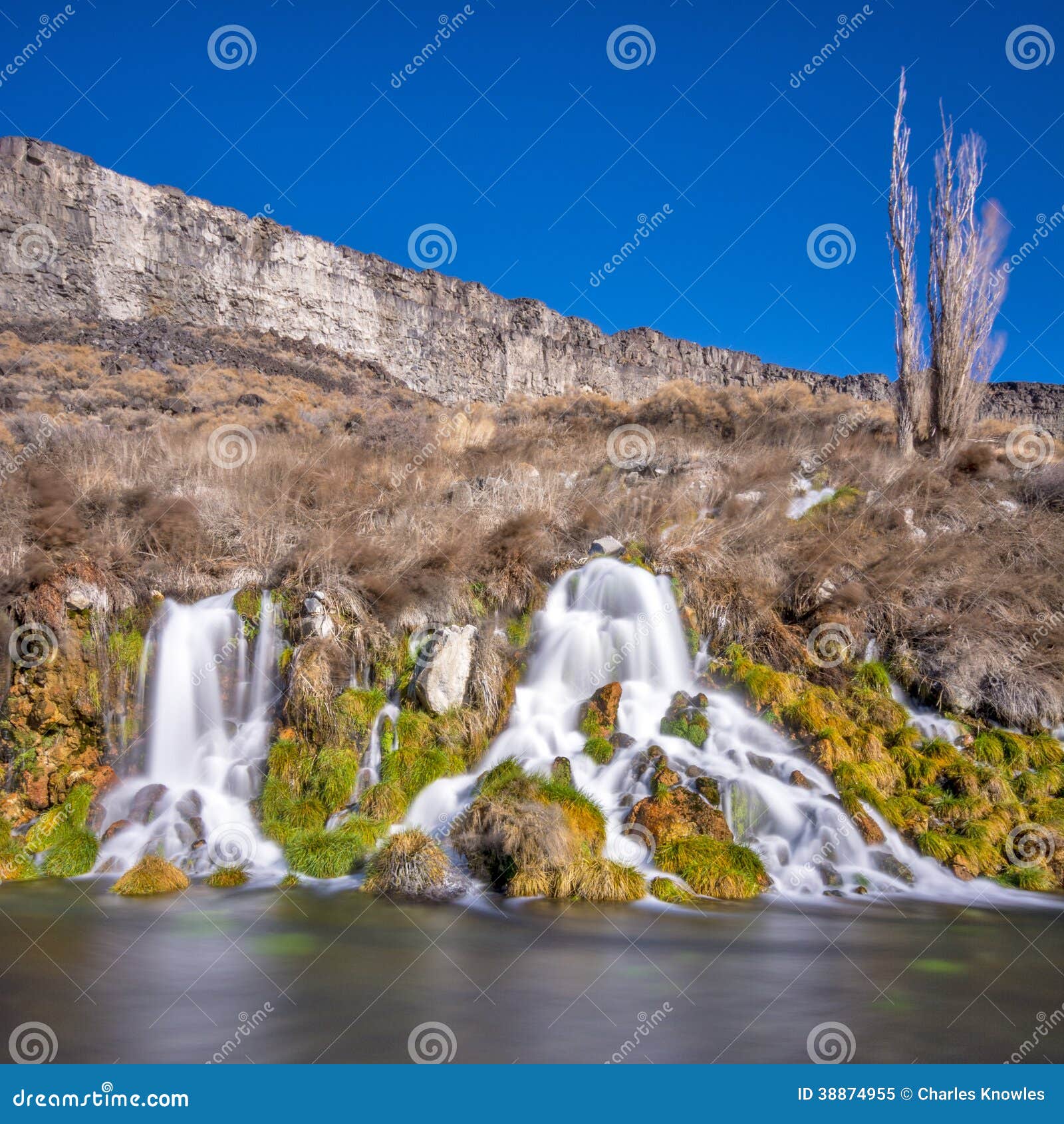 Small Water from a Spring in the Desert of Idaho Stock Image - Image of ...