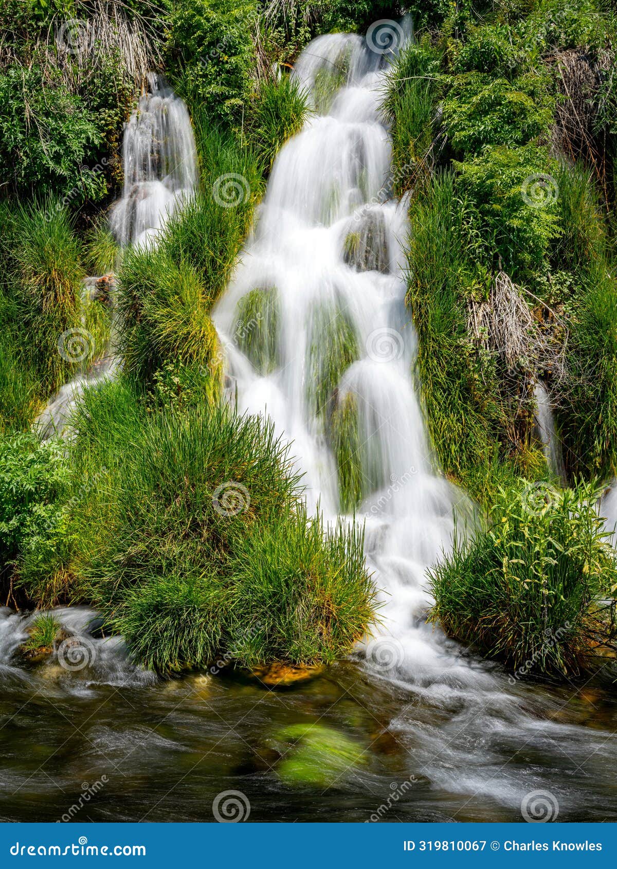 Small Water Spring in Long Green Grasses Stock Image - Image of desert ...