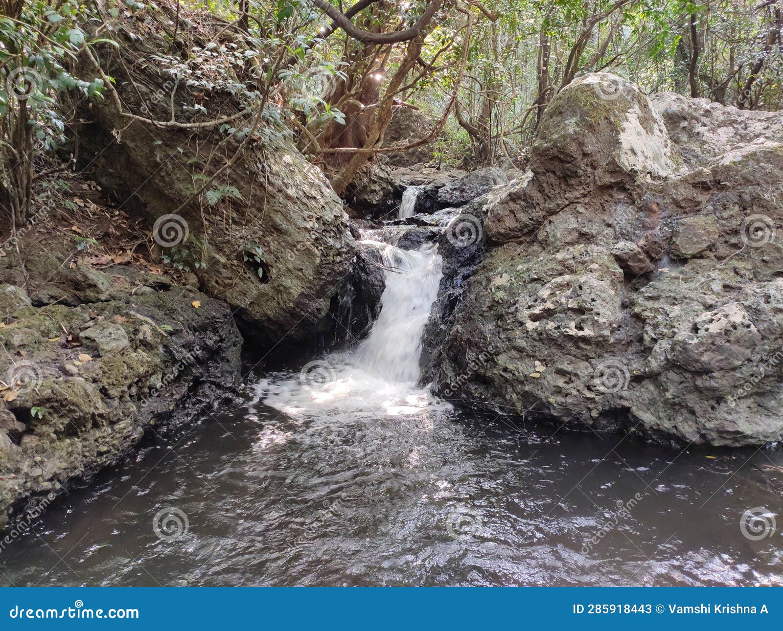 Small water stream stock image. Image of fresh, rocks - 285918443