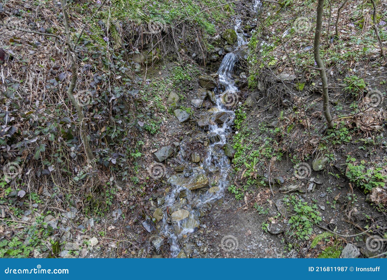 Small Waterfall and Slope with Spring Plants and Trees Stock Image ...