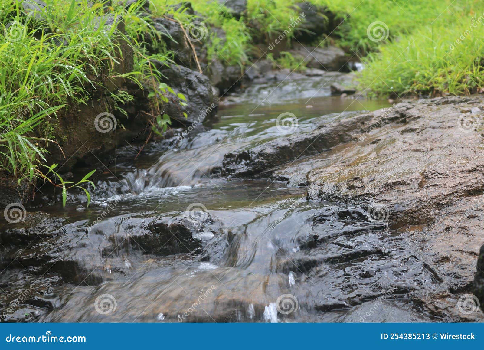 A Water Stream in the Forest. Stock Image - Image of travel, river ...