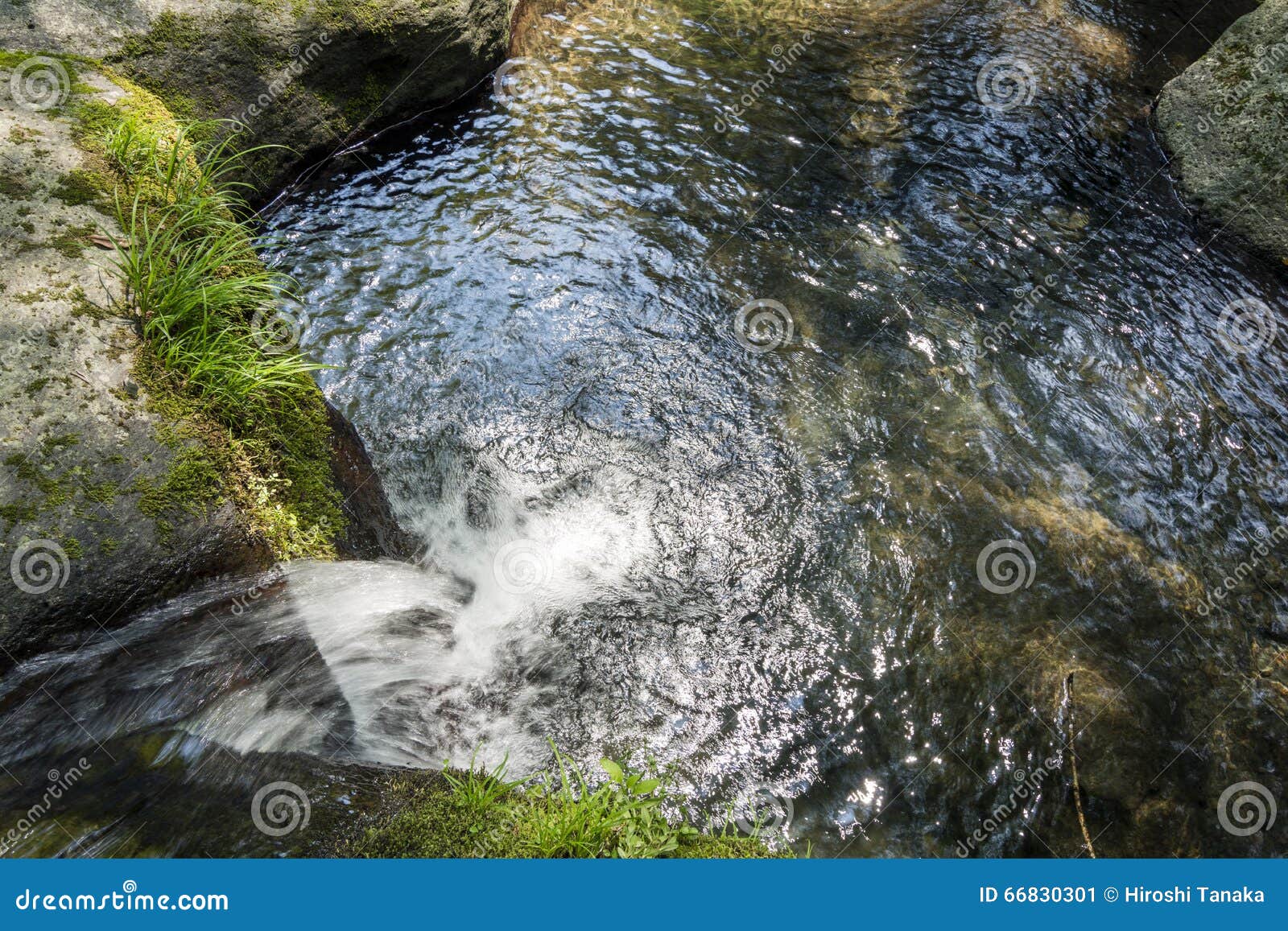 Small water stream stock image. Image of scape, brook - 66830301