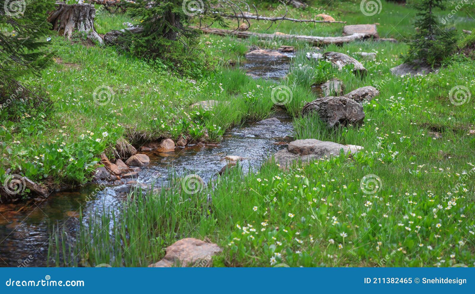 Small Water Stream Passing through a Meadow in Uinta Wasatch National ... Small Water Stream Passing through a Meadow in Uinta Wasatch National ...