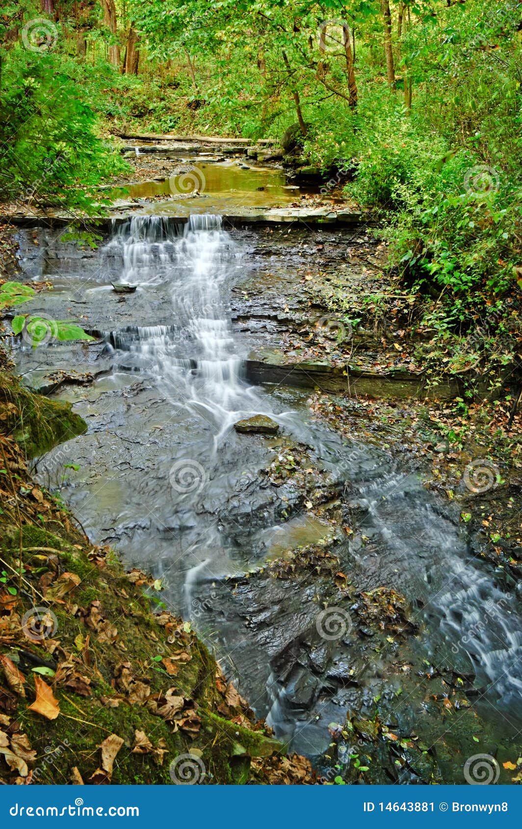Small Waterfall stock image. Image of trees, landscape - 14643881