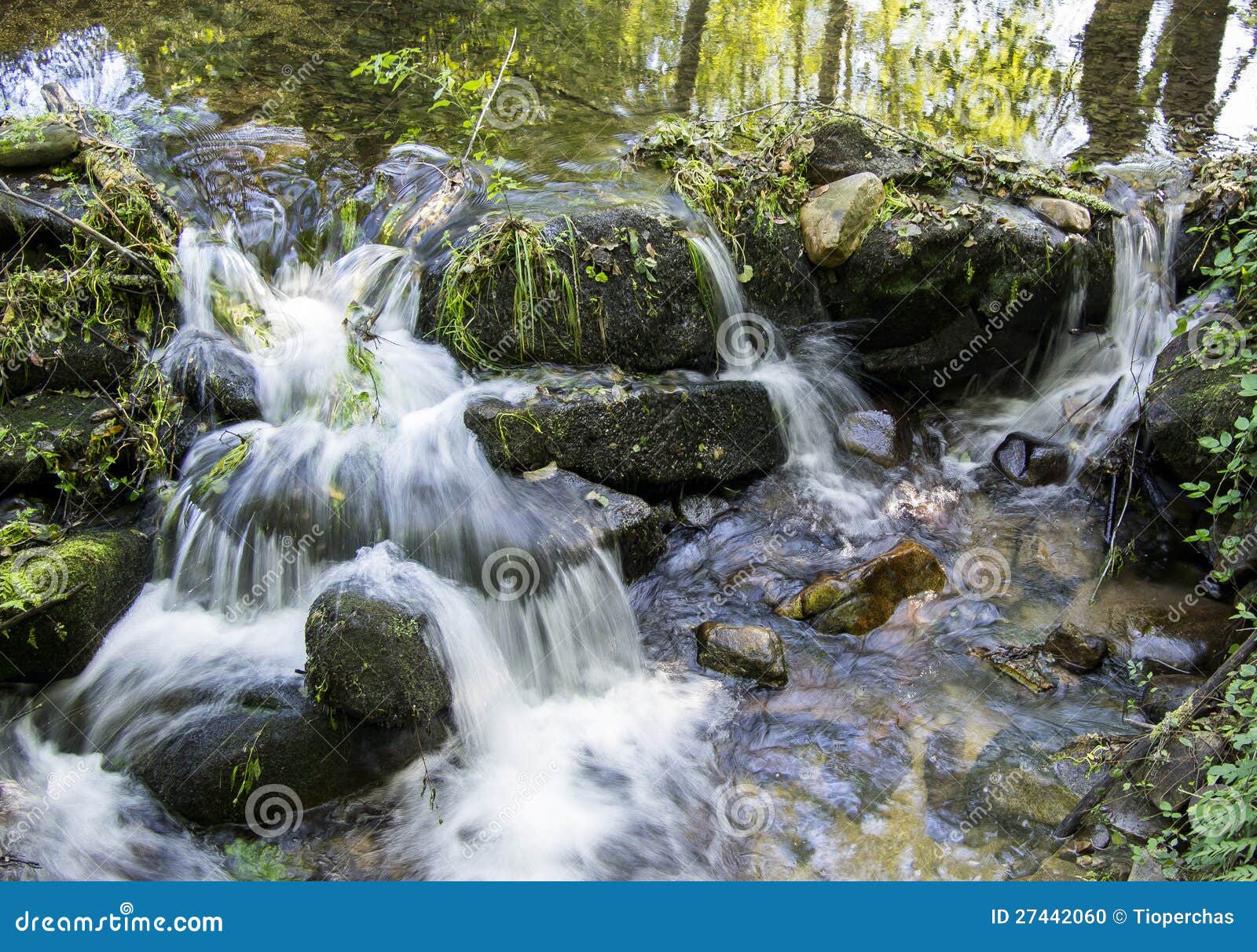 Small waterfall stock photo. Image of green, plant, water - 27442060