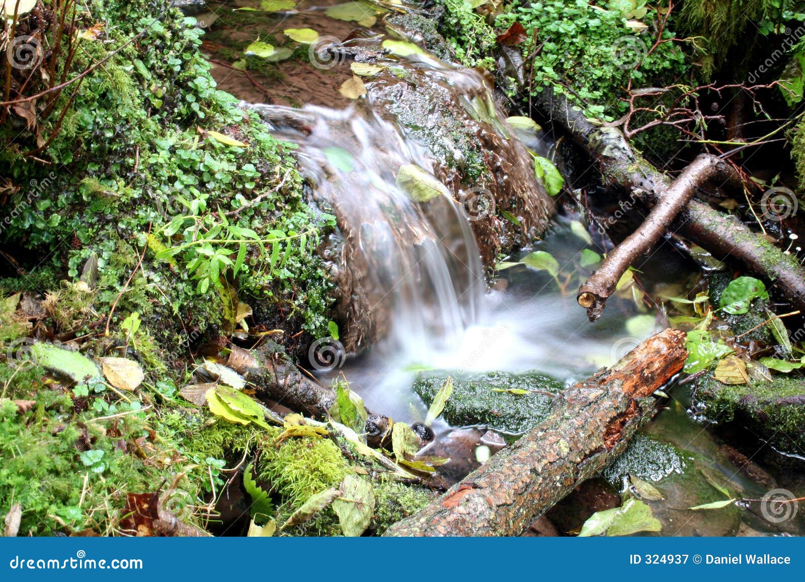 Small waterfall stock image. Image of brook, britain, branch - 324937