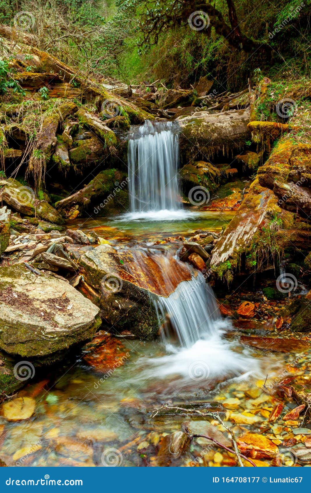 Waterfall in Himalayas. stock image. Image of nature - 164708177