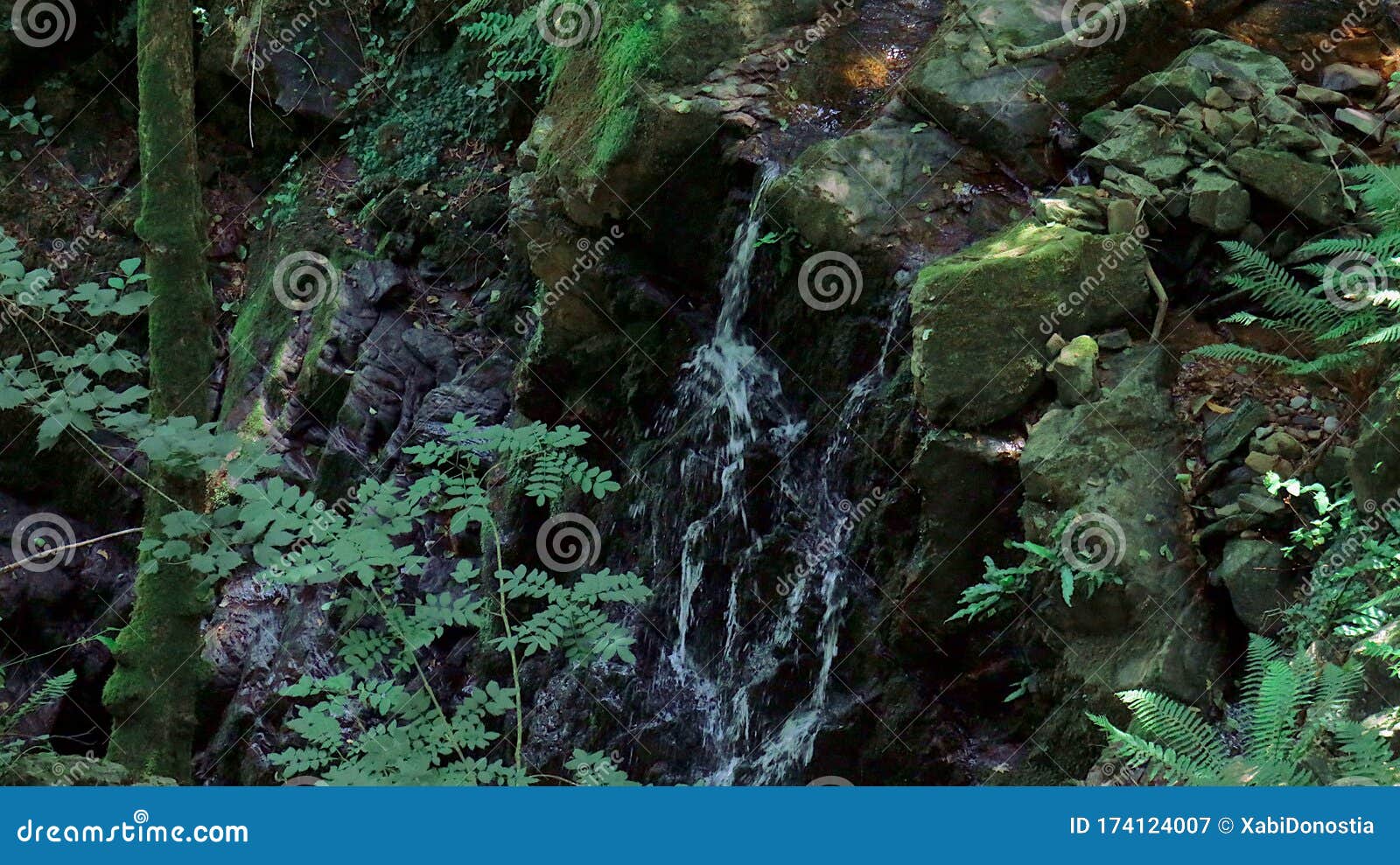Small Waterfall in Area of Rocks in the Forest Stock Image - Image of ...