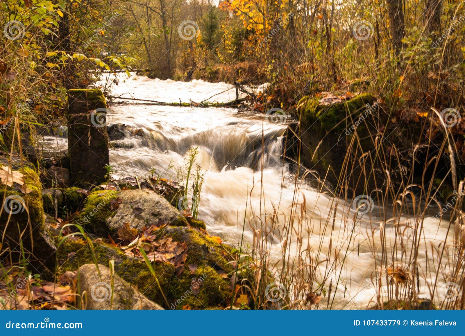A Small Waterfall in an Autumn Forest. Stock Image - Image of rock ...