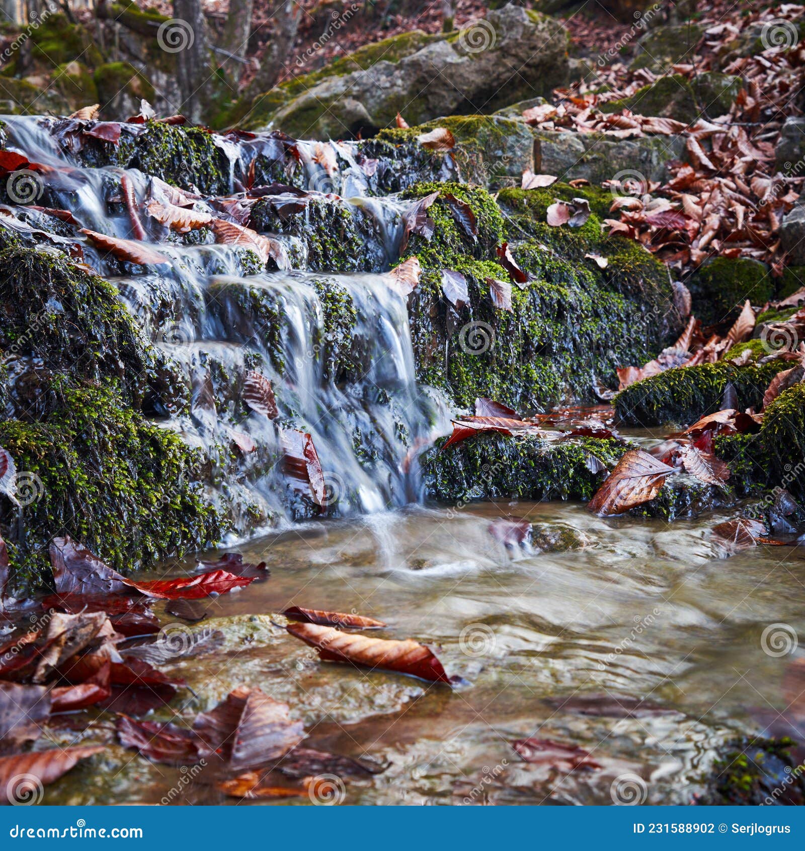 Waterfall in the Autumn Forest Stock Photo - Image of autumn, friendly ...