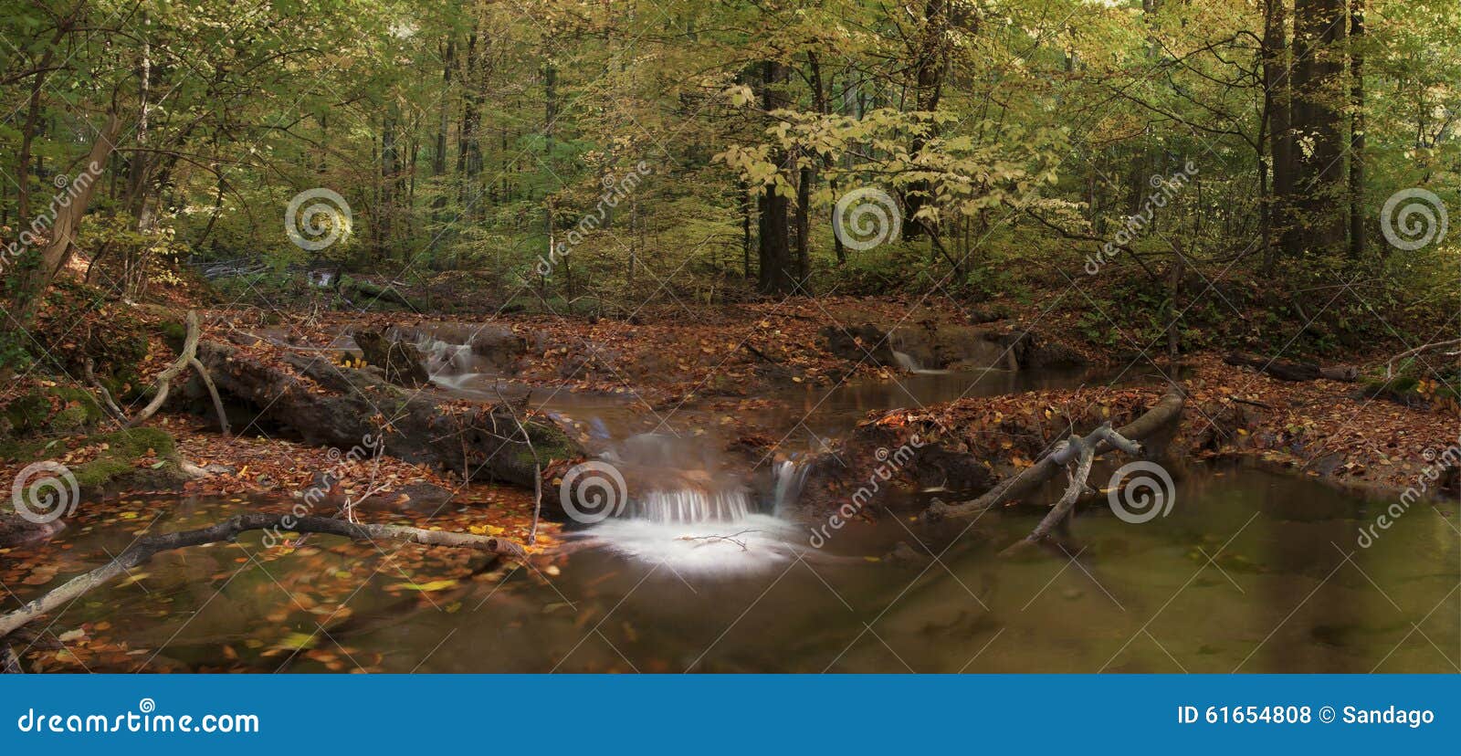 Small Waterfall and Autumn Leaves. Stock Photo - Image of environment ...