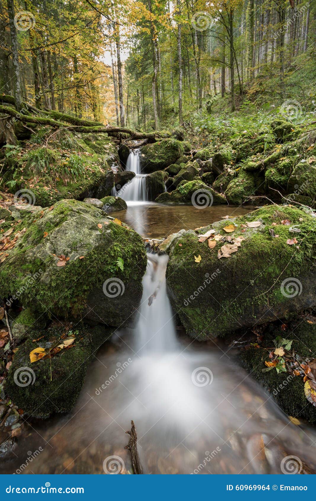 Small Waterfall in Black Forest Stock Photo - Image of fresh ...