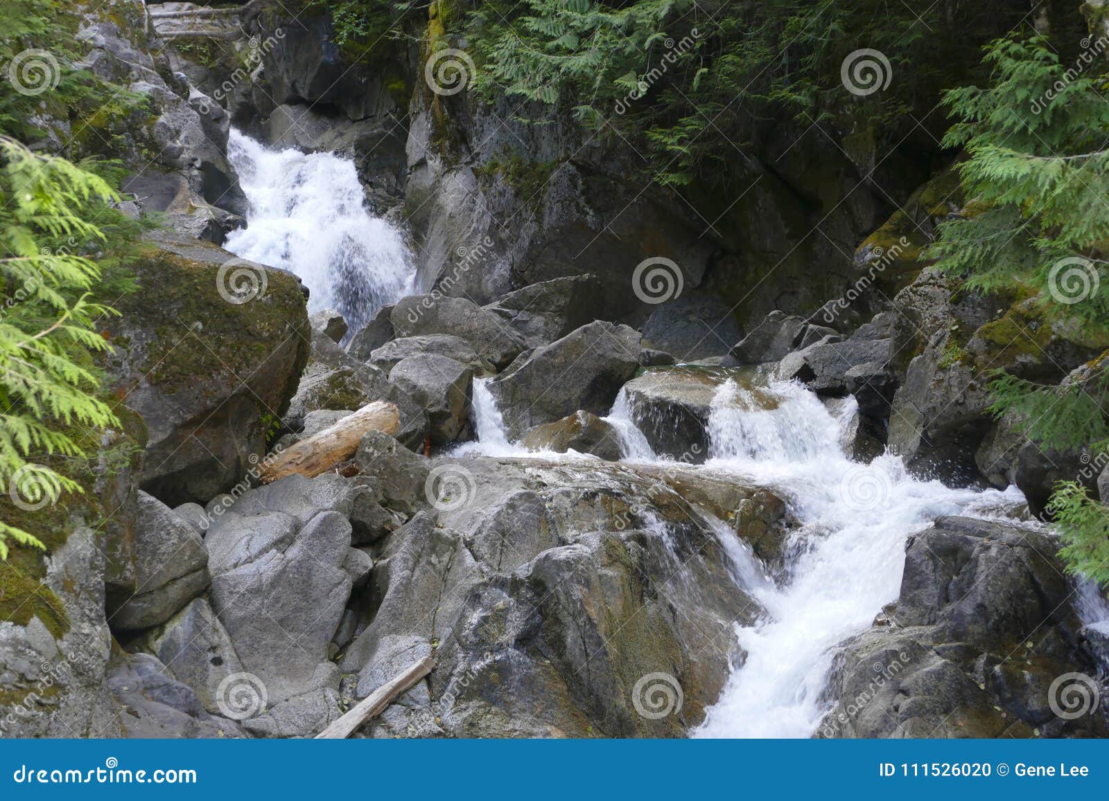 Small Waterfall Cascade in Rocky Stream As it Rushes through the Forest ...