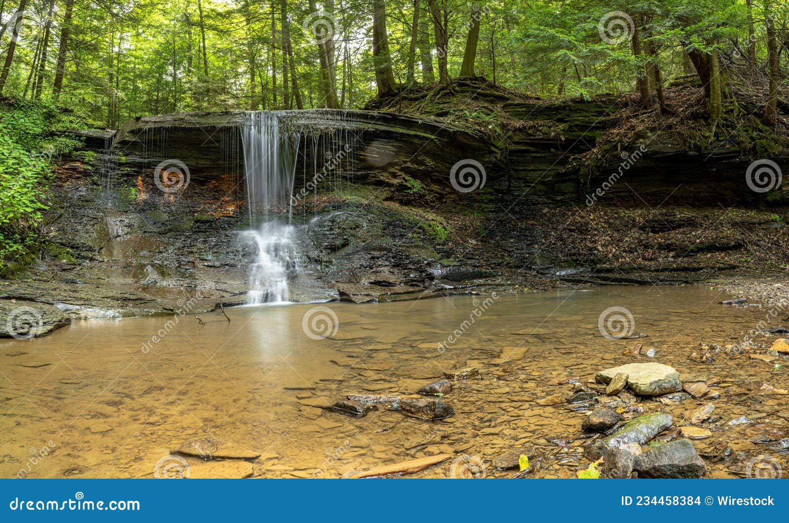 Small Waterfall on a Cliff in a Forest Stock Photo - Image of channel ...