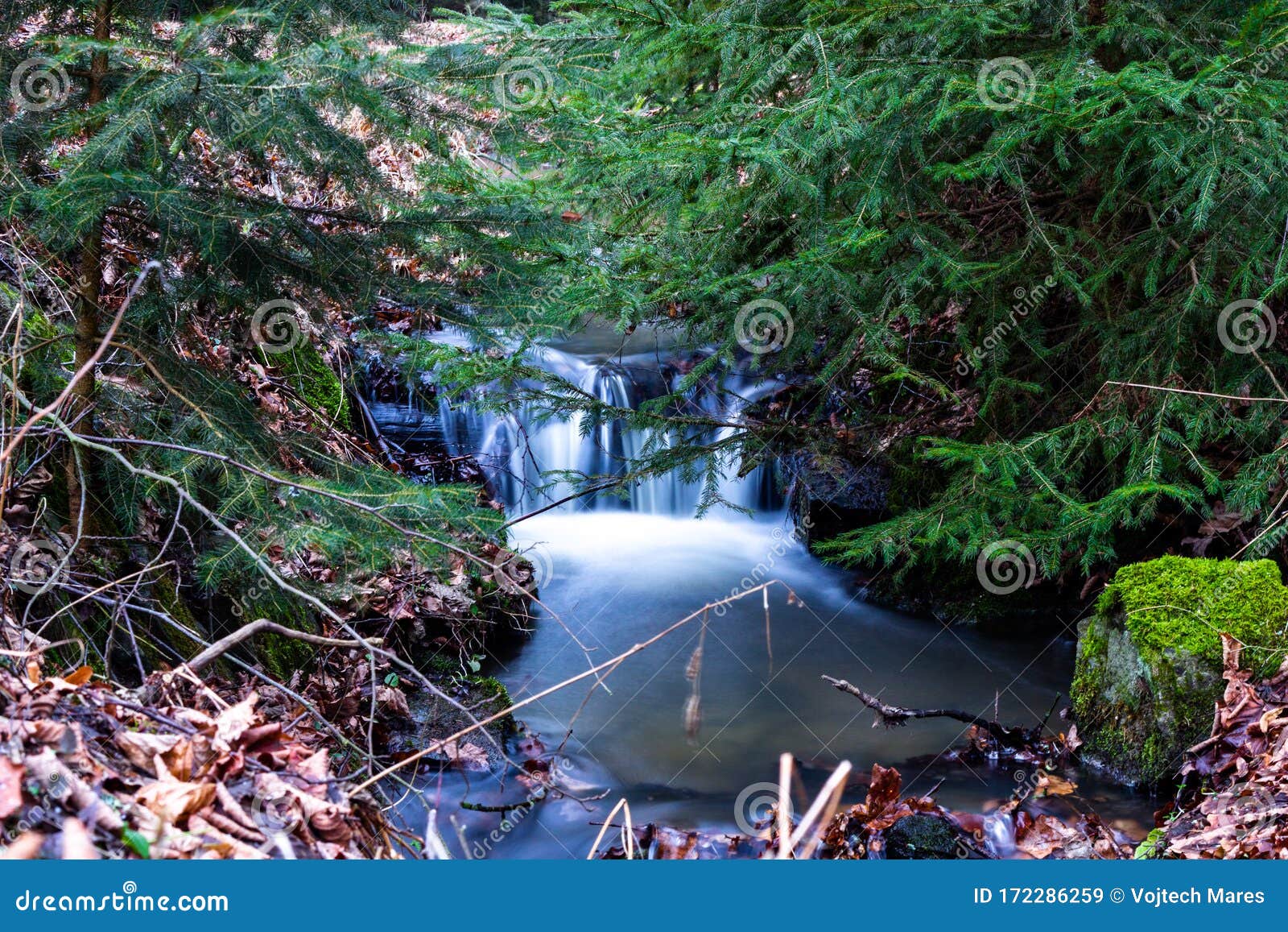 Small Waterfall on a Creek in Winter Paneled with Branches and Grass ...
