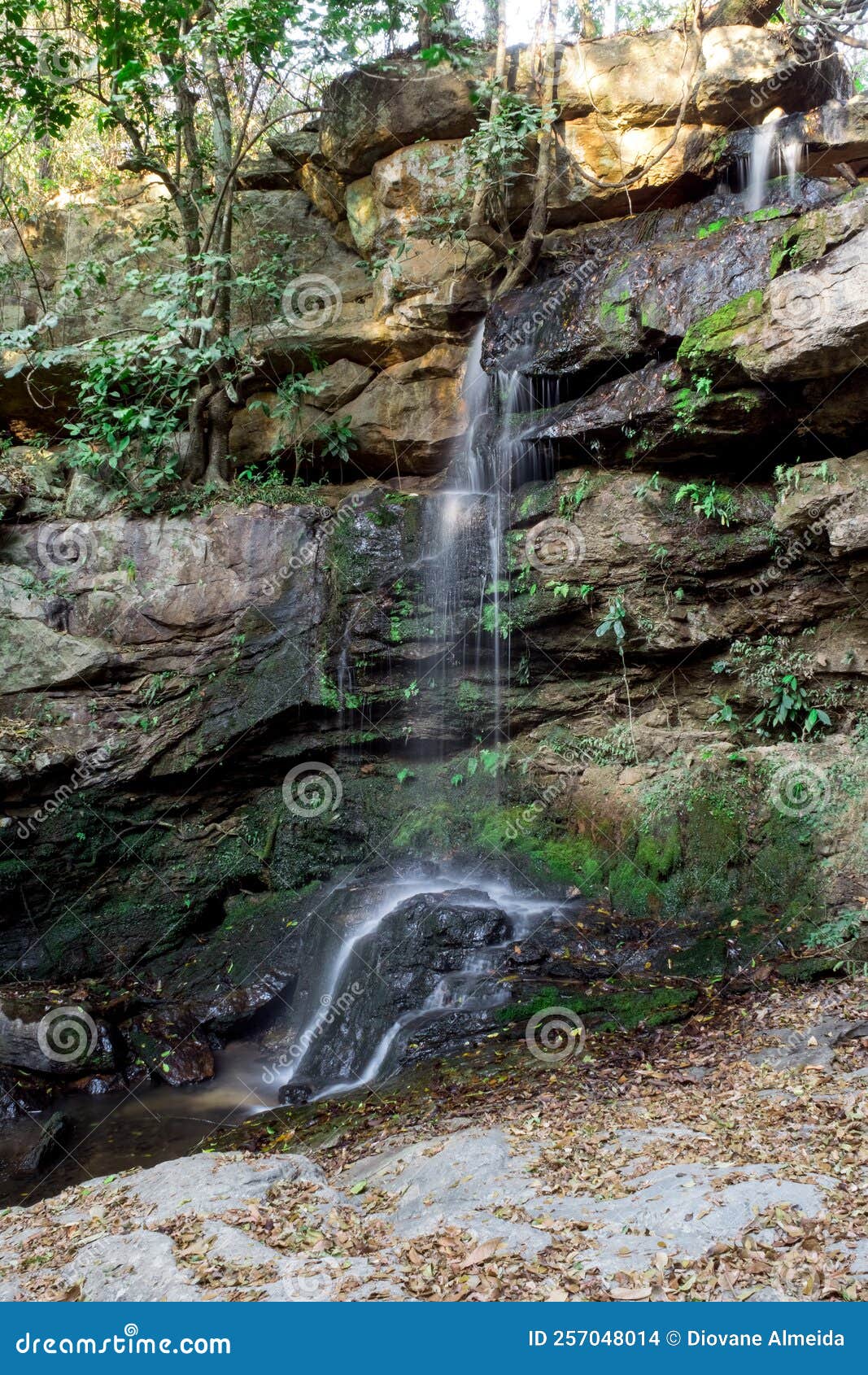 Small Waterfall, with Crystal Clear Water, Many Rocks and Large Trees ...
