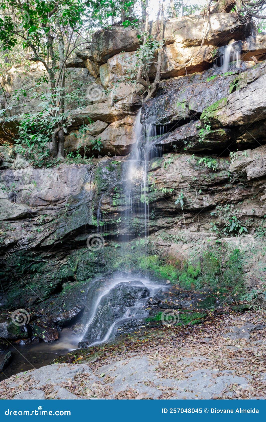 Small Waterfall, with Crystal Clear Water, Many Rocks and Large Trees ...