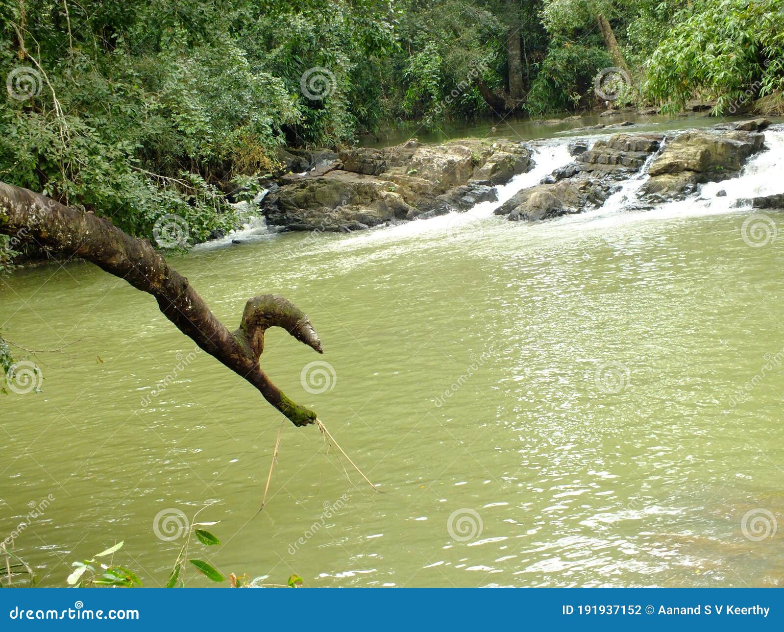 3,951 Waterfall Ecosystem Photos - Free & Royalty-Free Stock Photos ...