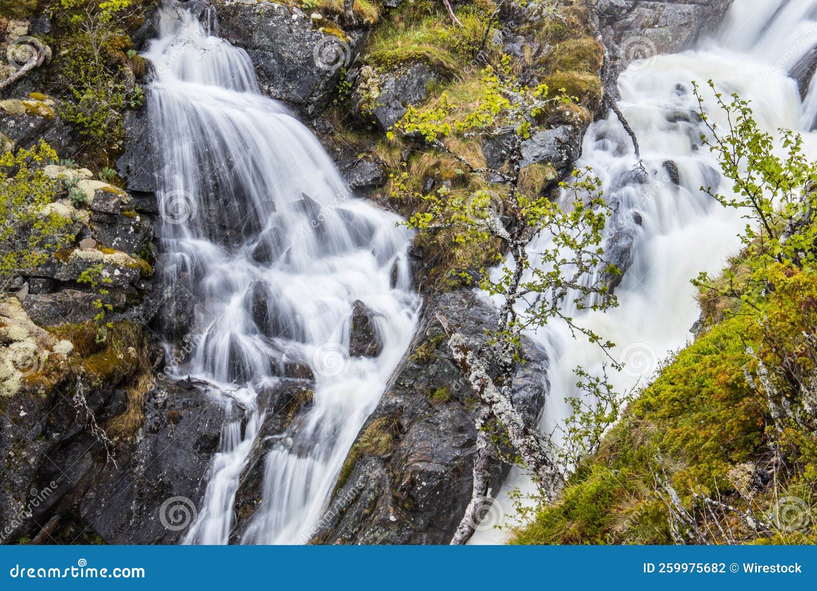 Small Waterfall in Der Hardangervidda Mountains Stock Photo - Image of ...