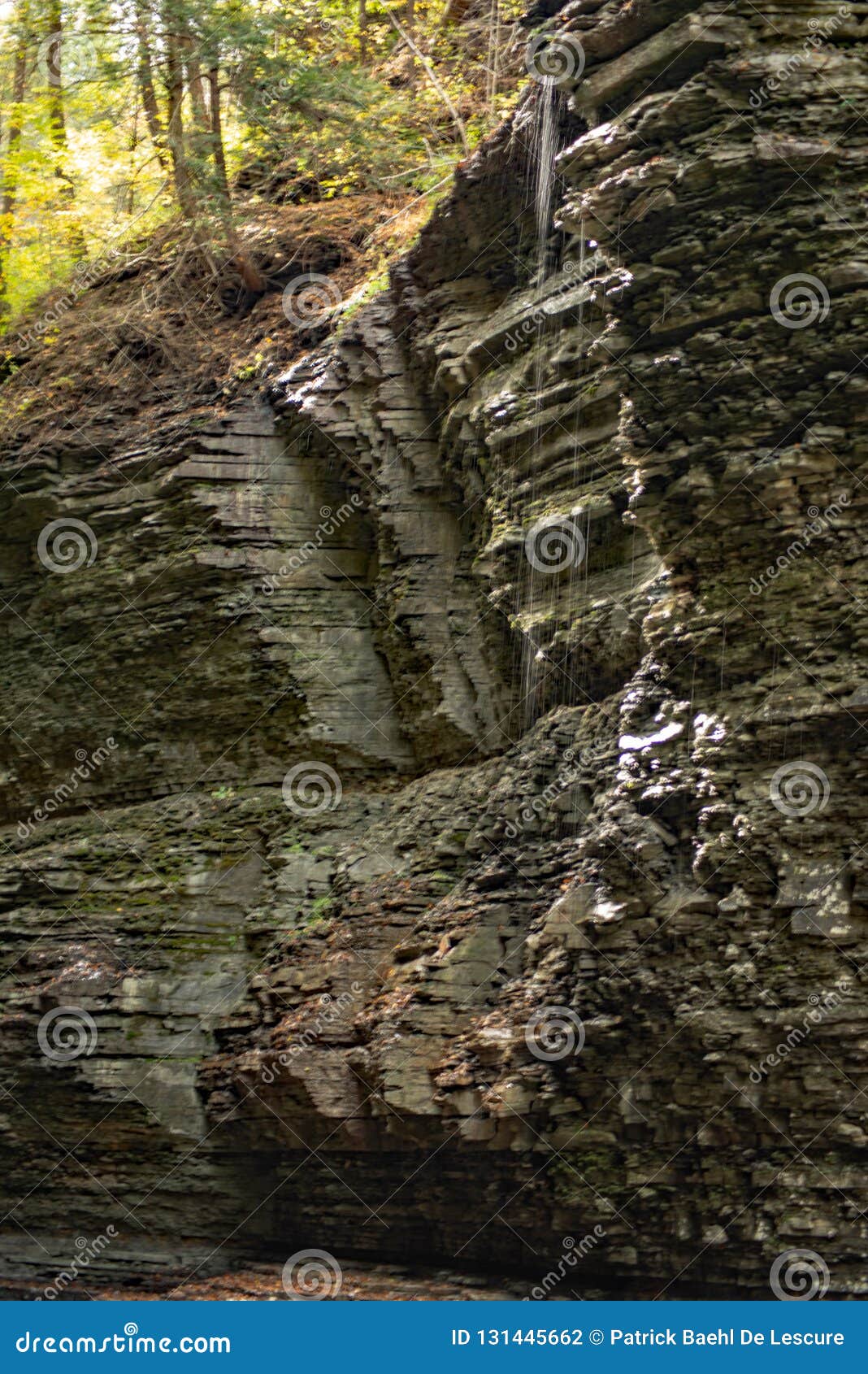 Small Waterfall Drips Down into Glen Gorge in State Park Stock Photo ...