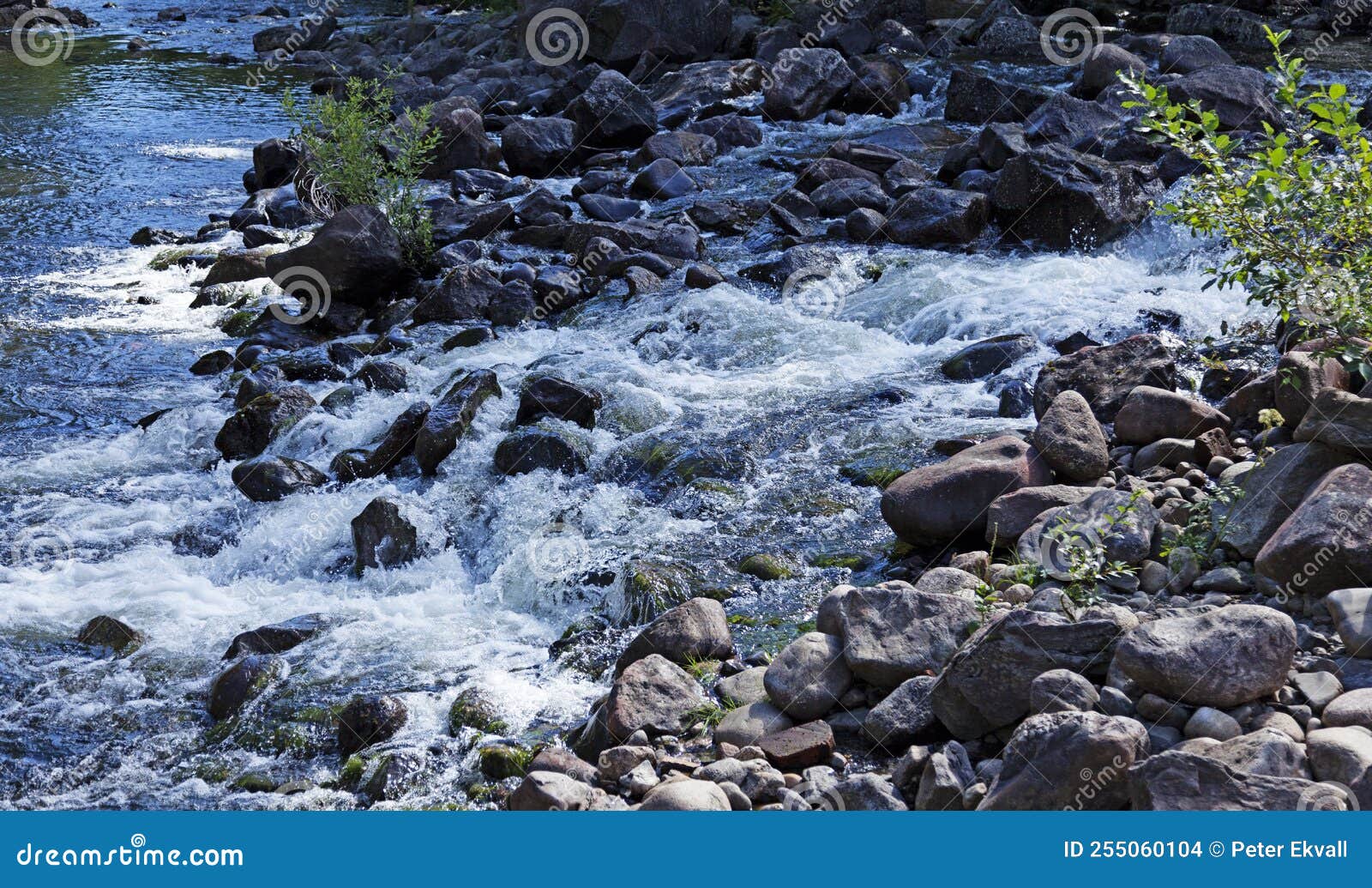 Small Waterfall at the Edge of the River Stock Photo - Image of summer ...