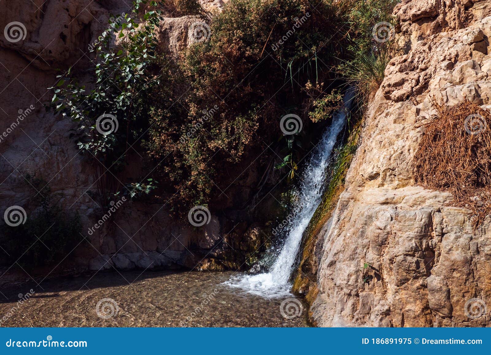Small Waterfall, Ein Gedi Israel Stock Image - Image of tourism ...