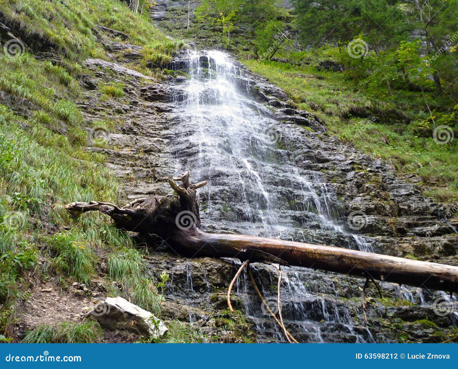 Small Waterfall with Fallen Tree Stock Photo - Image of clear, foliage ...