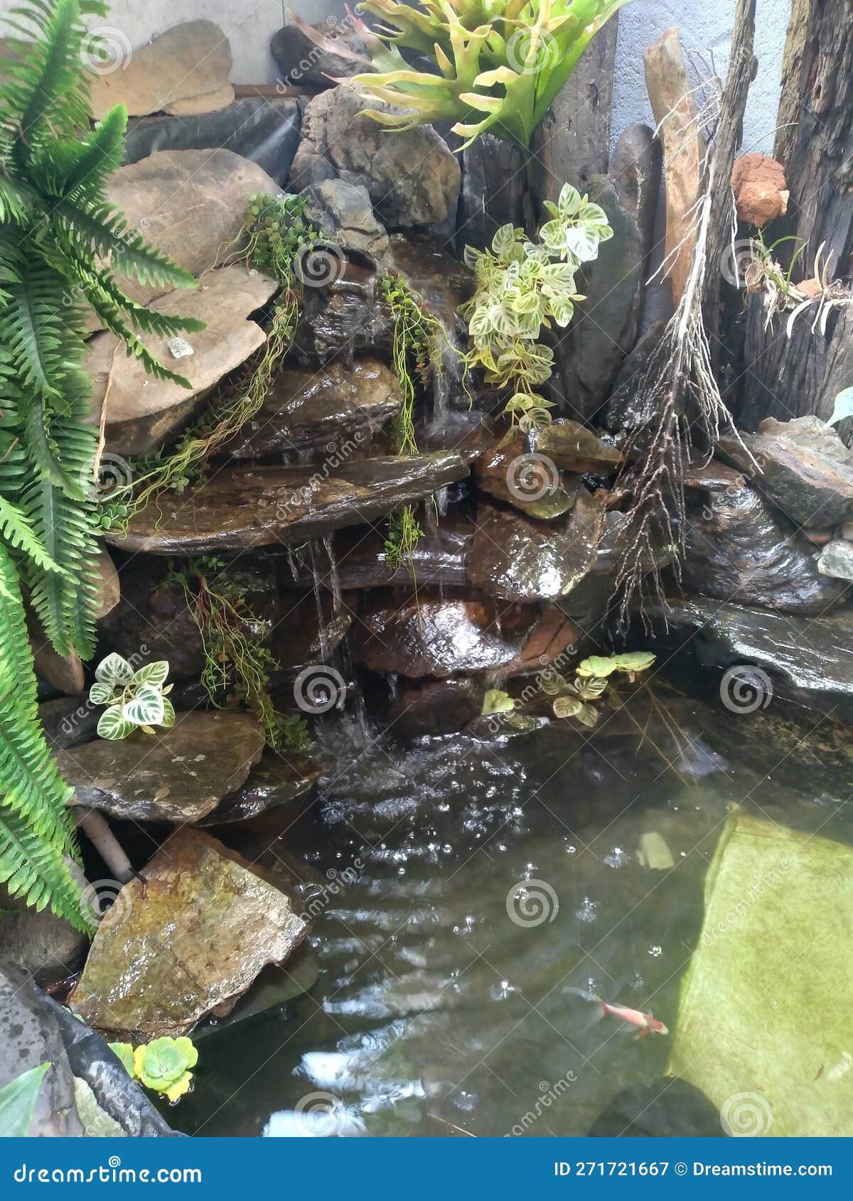 Small Waterfall with Small Fish and Plants on the Rocks Stock Image ...