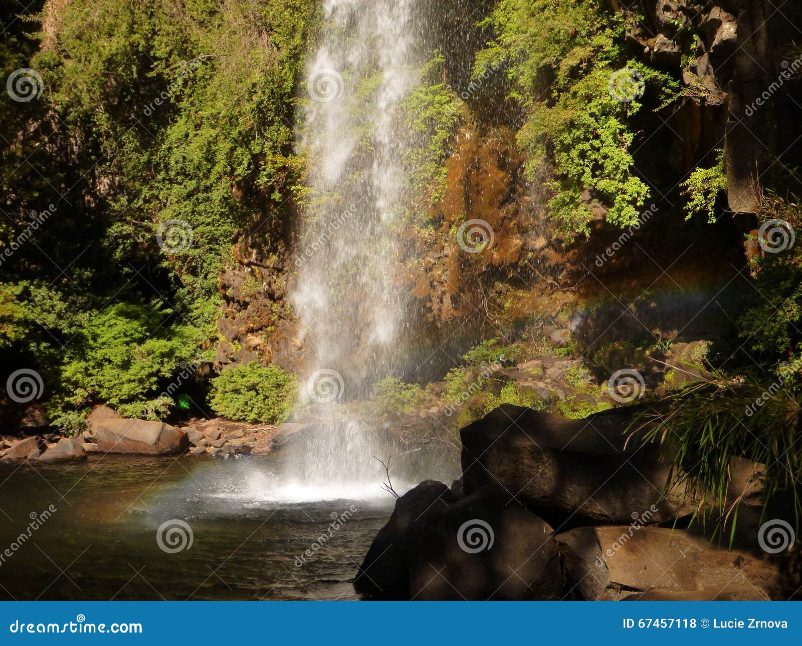Small Waterfall Flowing of a Basalt Rock in a Deep Forest Stock Photo ...