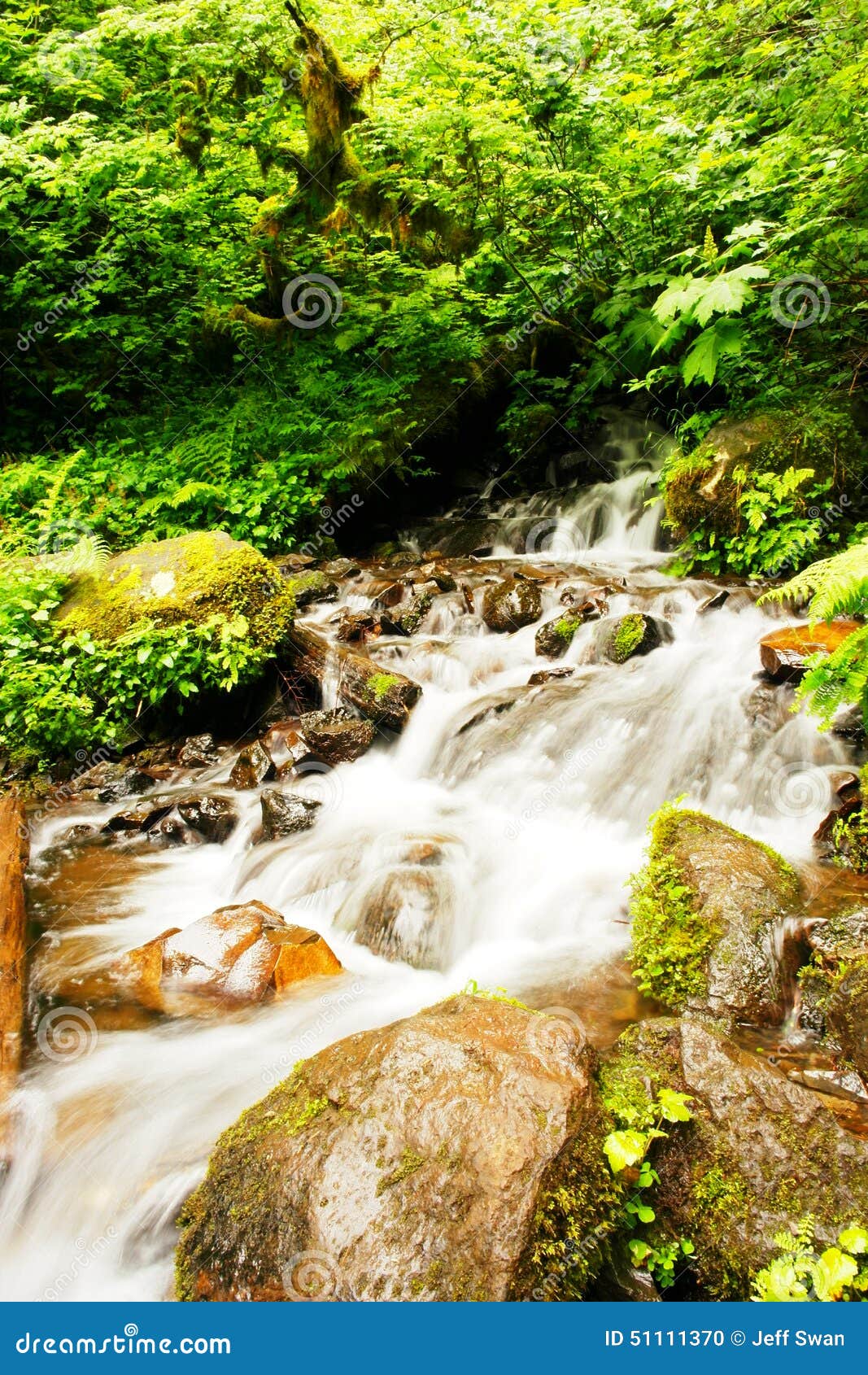 Small waterfall stock photo. Image of river, forest, nature - 51111370