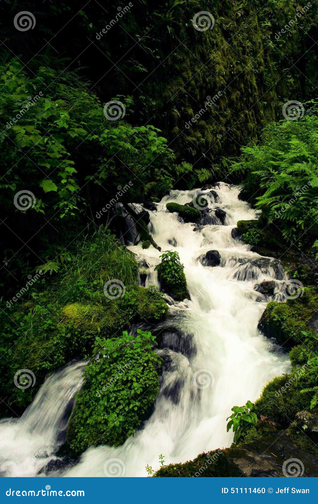 Small waterfall stock photo. Image of landscape, nature - 51111460