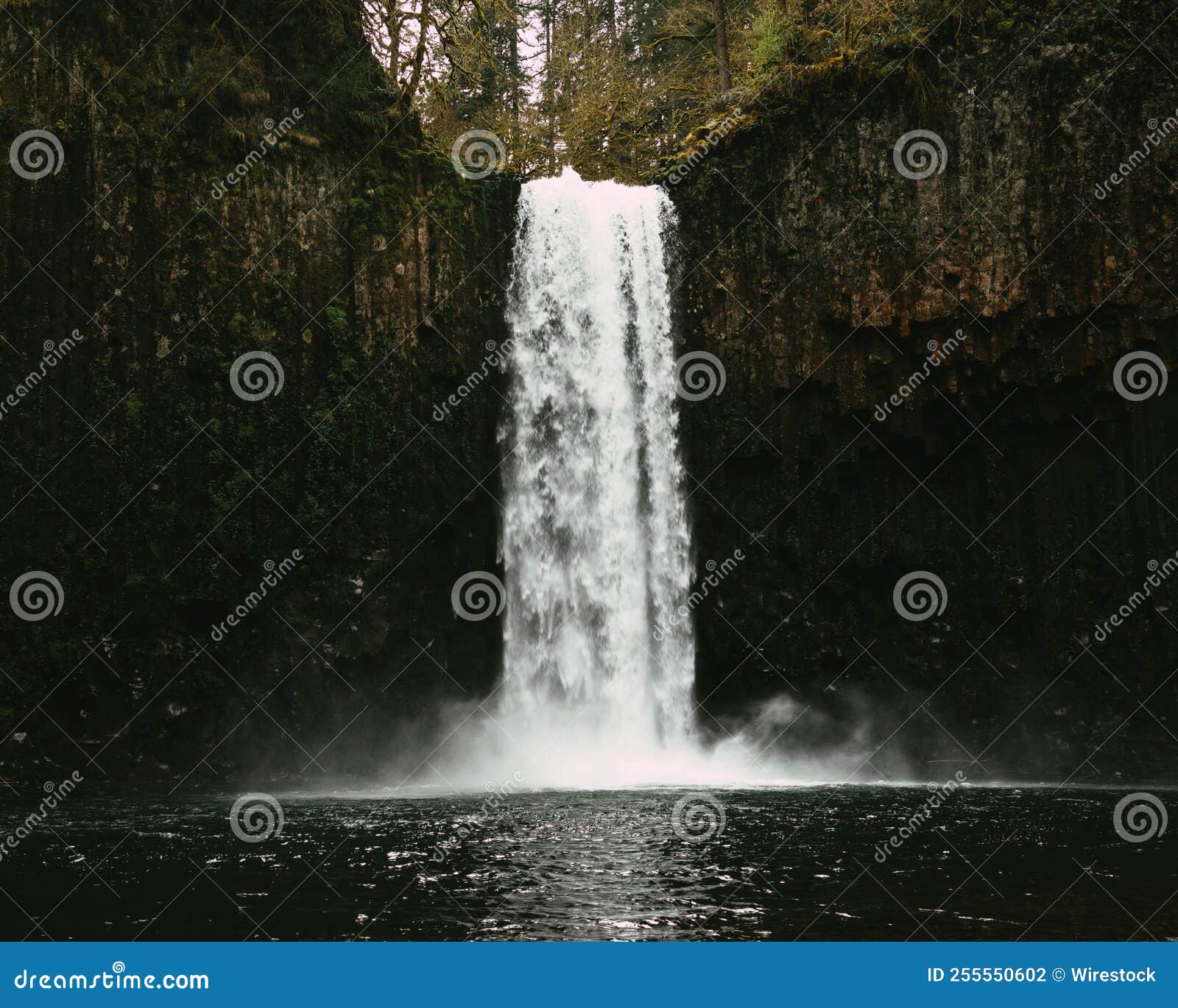 Small Waterfall Flowing Over Rocks in the Forest Stock Photo - Image of ...