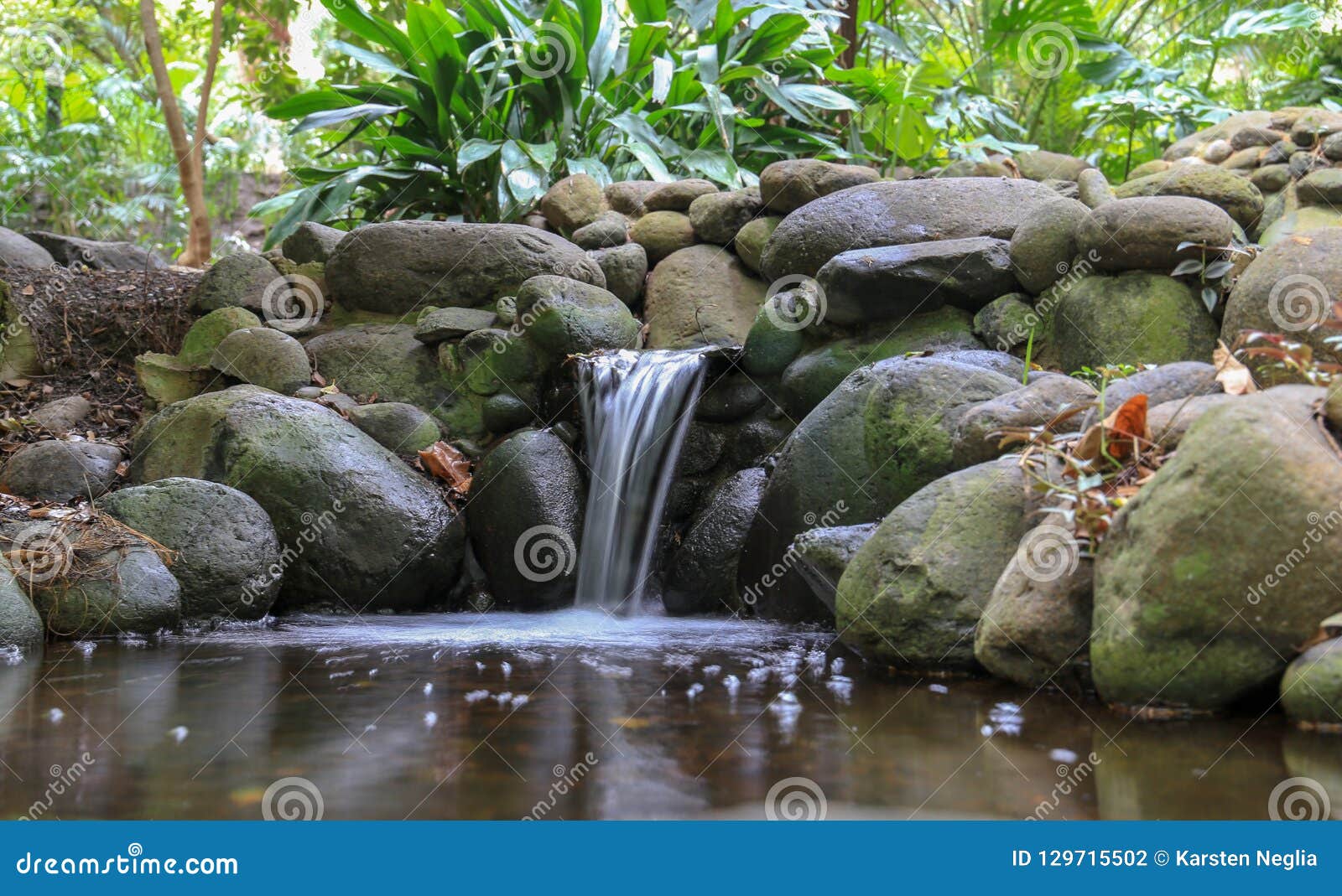 Small Waterfall Flowing on Rock in Woods Stock Photo - Image of country ...