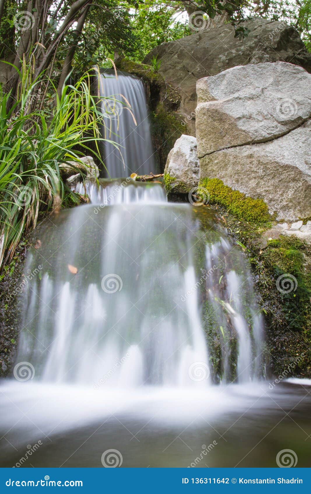 A Small Waterfall in the Forest Stock Photo - Image of fall, bridge ...