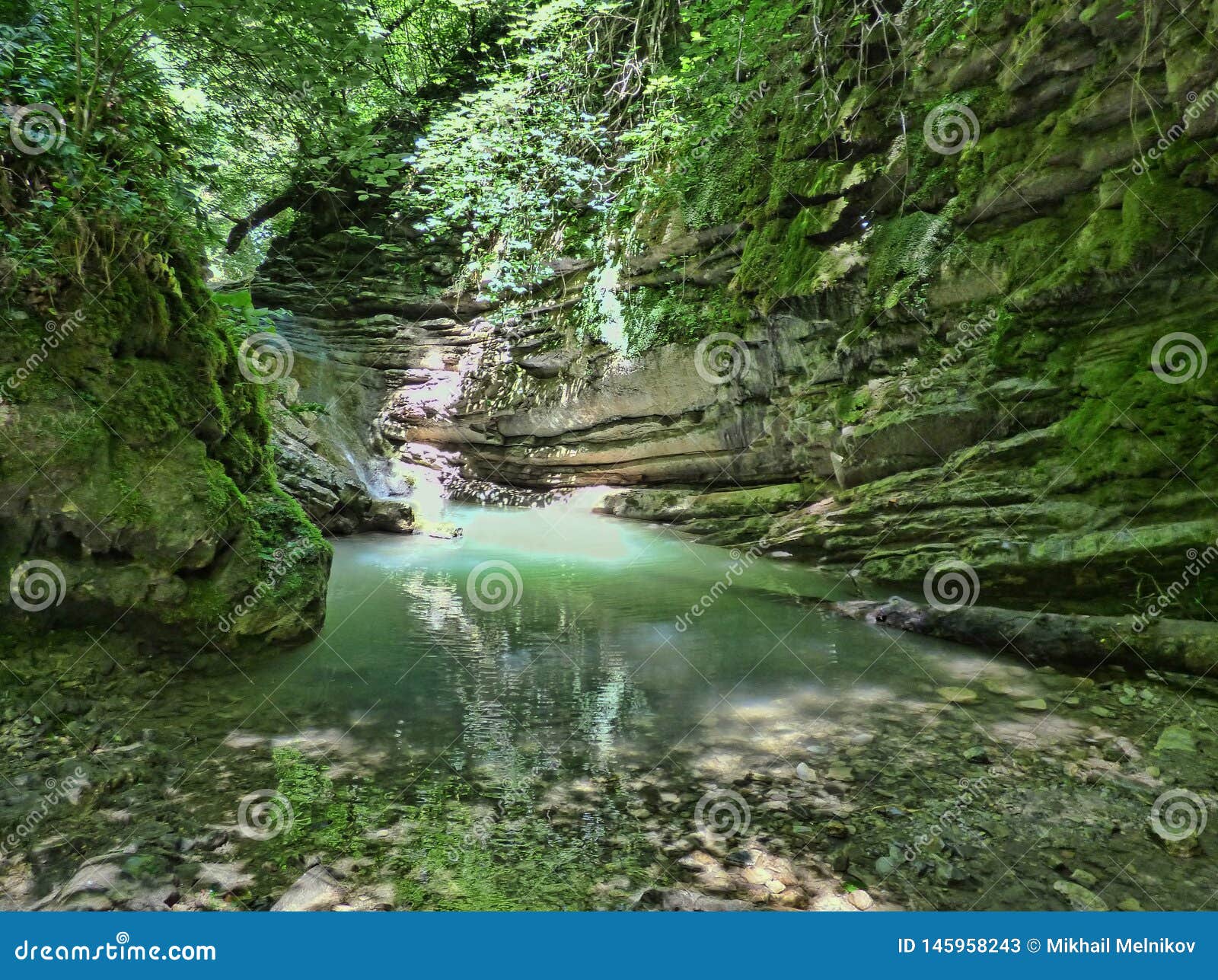 Small Waterfall in the Forest Stock Image - Image of green, aged: 145958243
