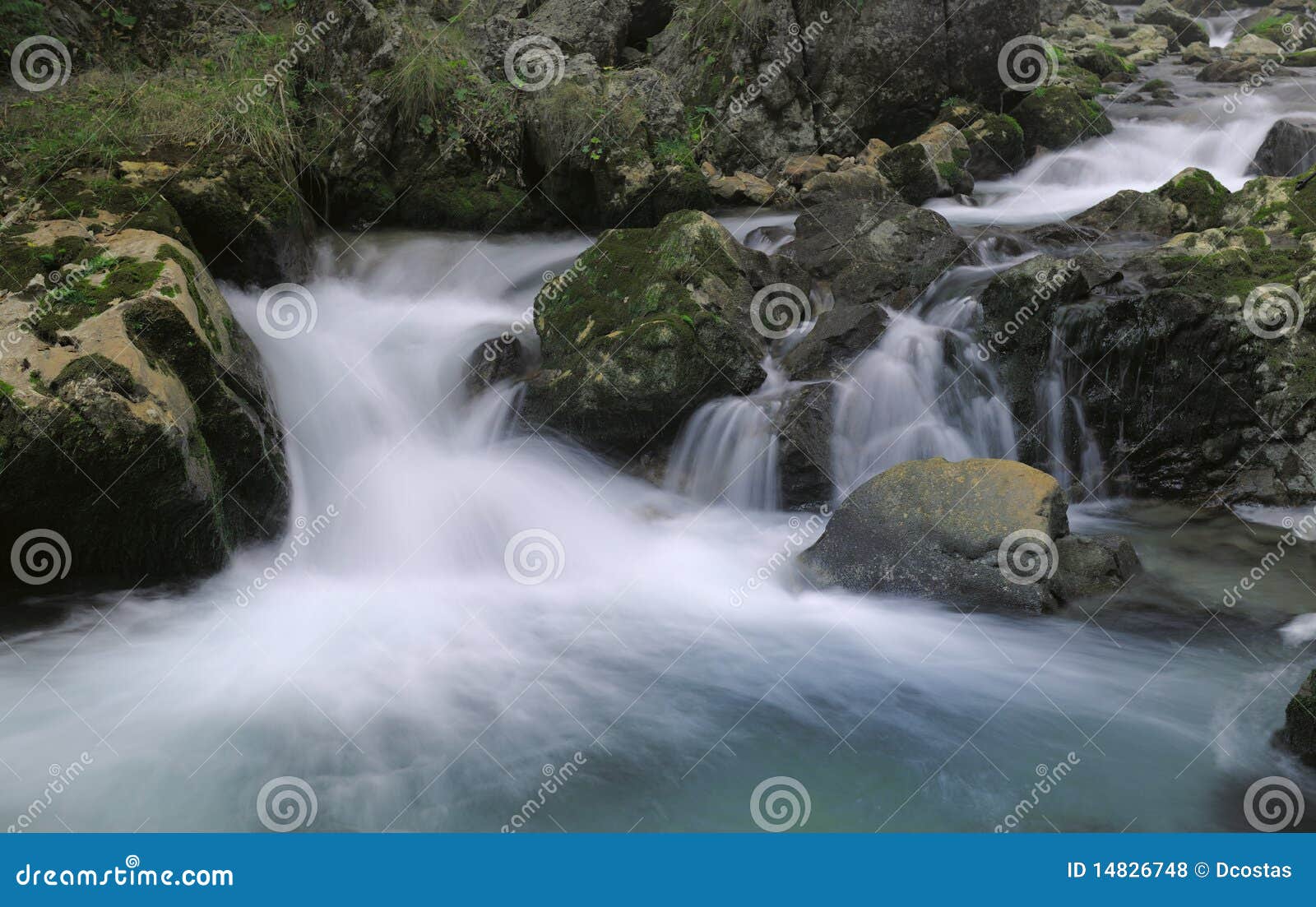 Small Waterfall in the Forest Stock Photo - Image of mist, tree: 14826748