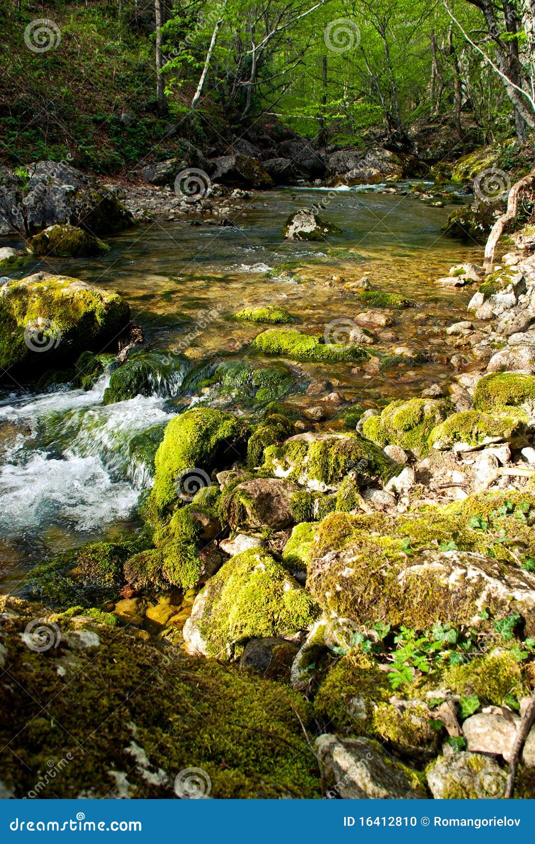 Small waterfall in forest stock photo. Image of landscape - 16412810