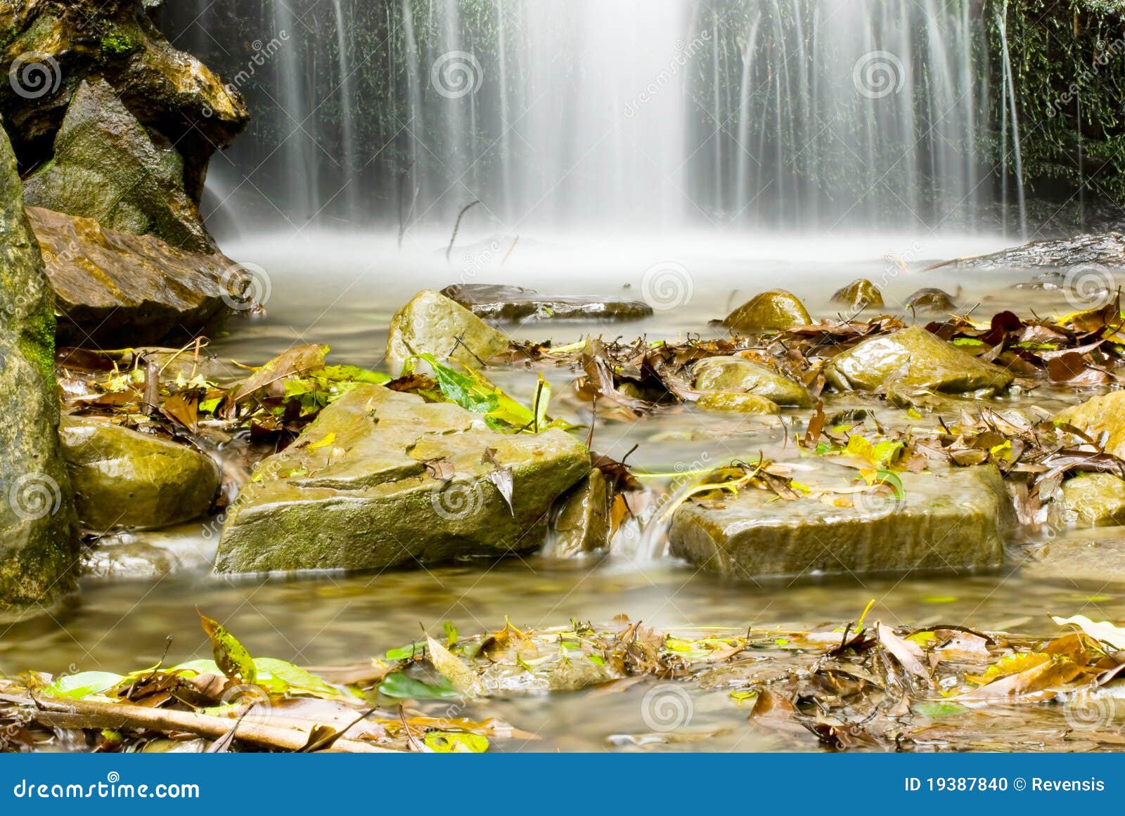 Small Waterfall in the Forest Stock Photo - Image of moss, beautiful ...