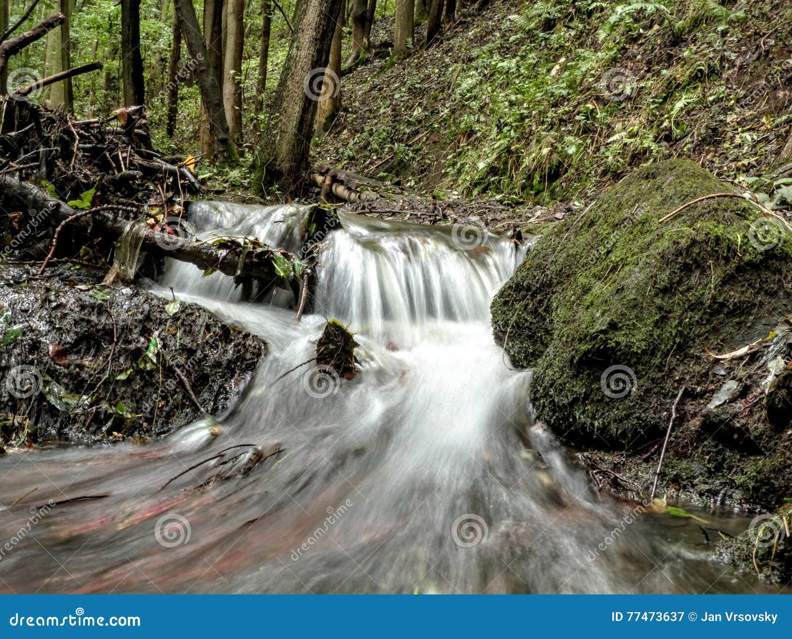 A Small Waterfall in the Forest. Stock Image - Image of clod, beautiful ...