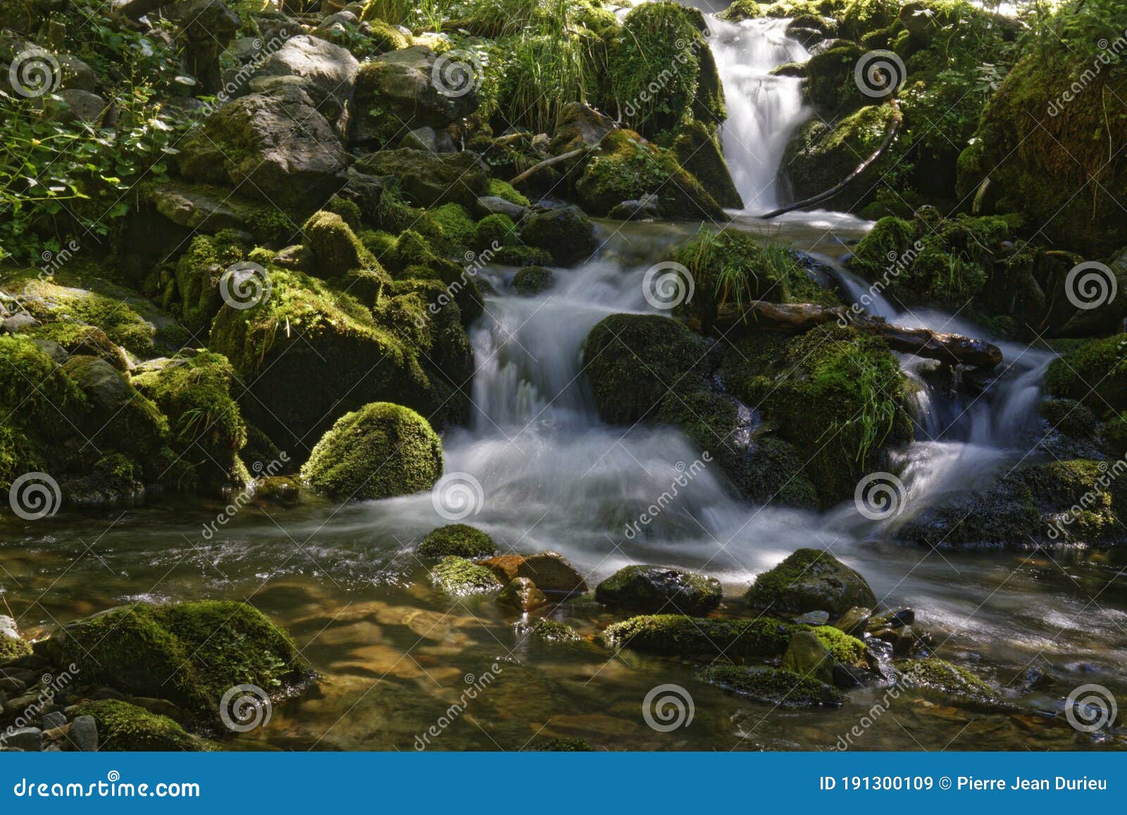 Small Waterfall in a Forest of Belledonne Stock Image - Image of ...